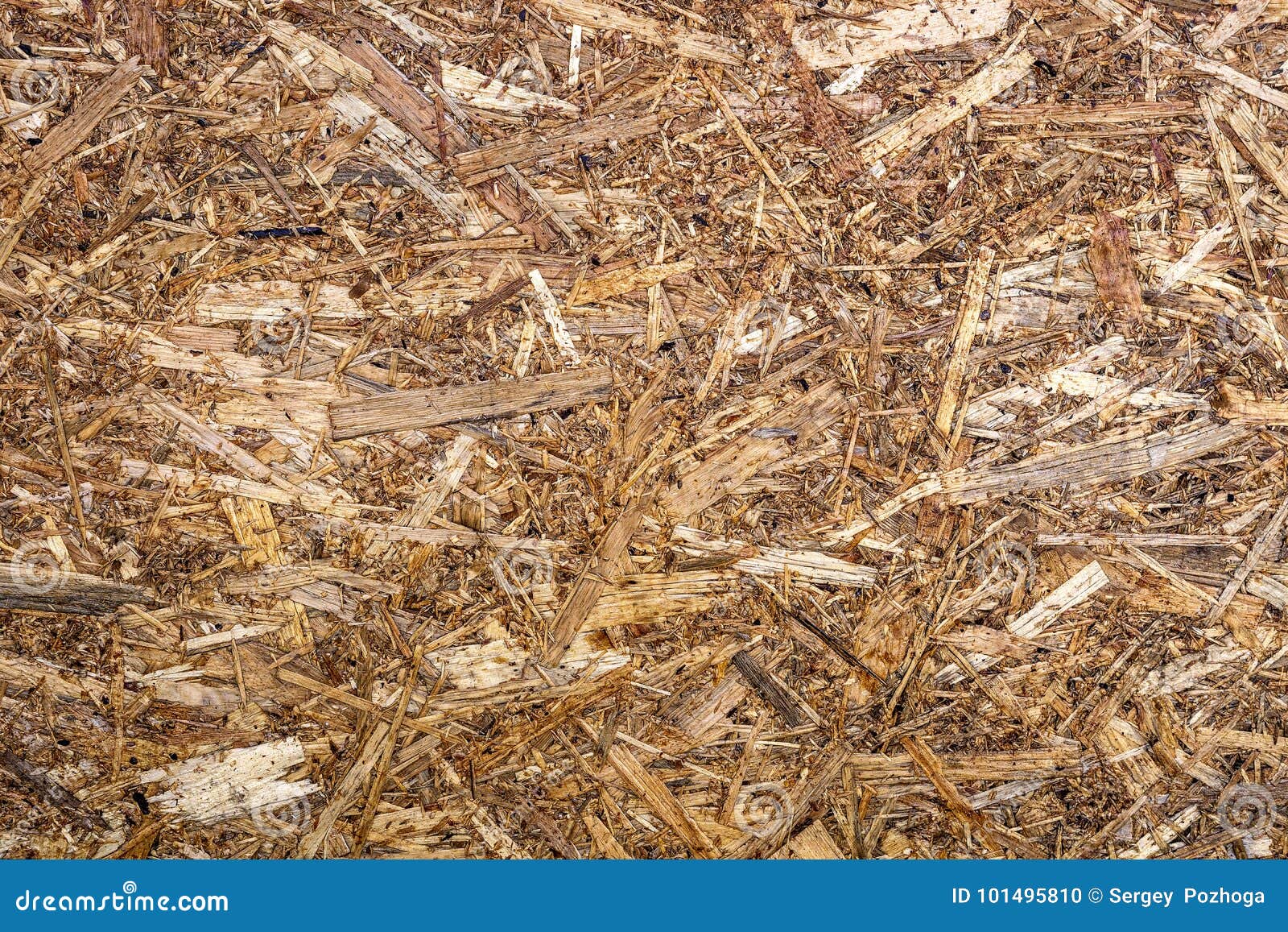 Texture of Wood with a Natural Pattern. Veneer Stock Photo - Image of ...