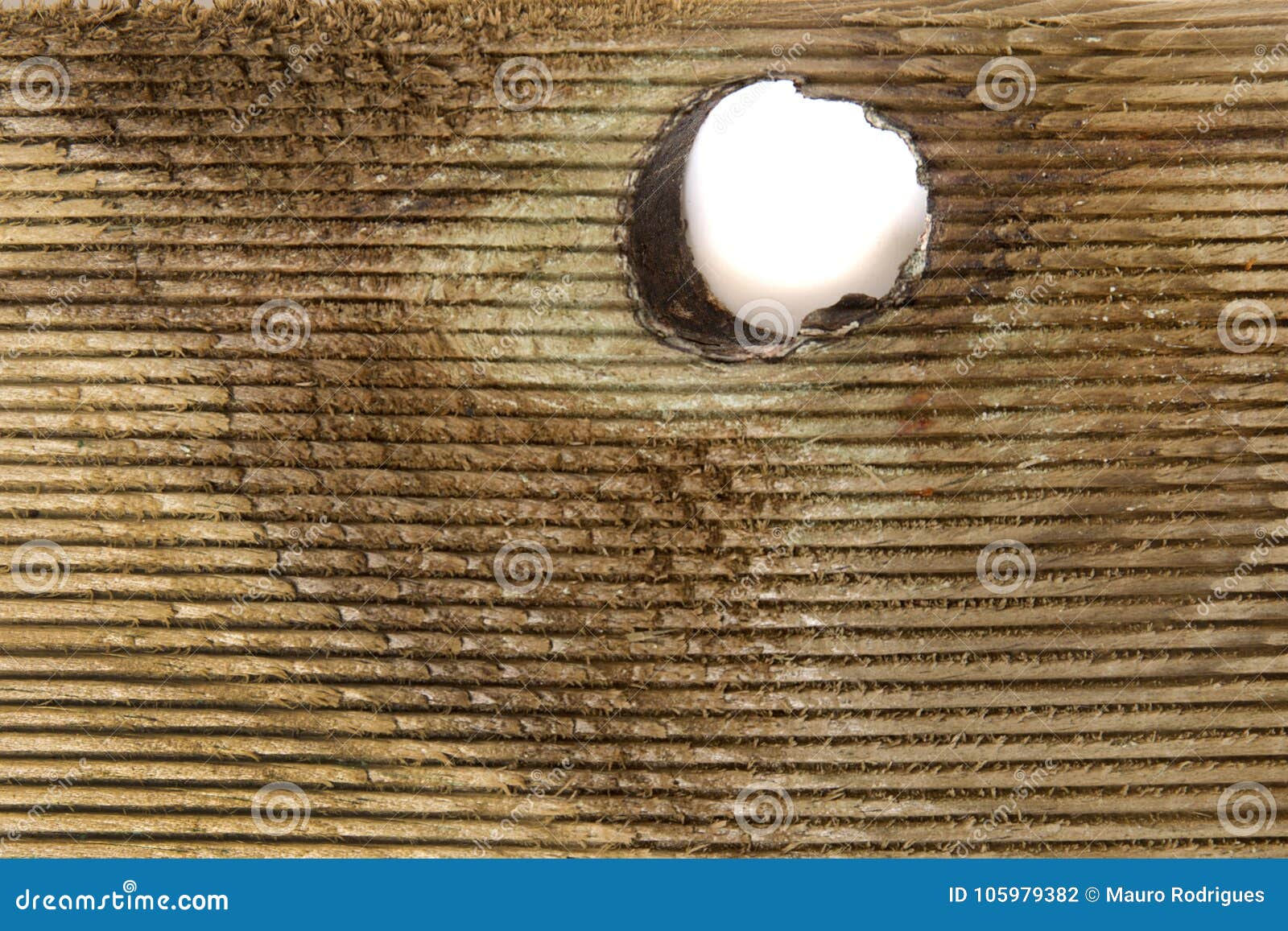 Texture of Wood with a Node. Stock Photo - Image of natural, abstract ...