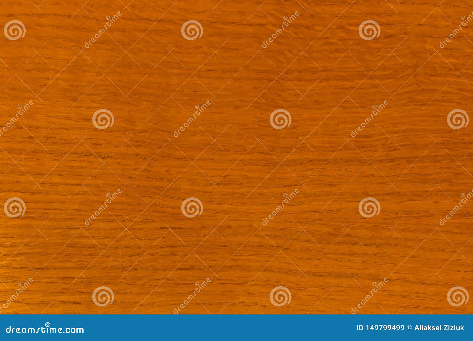The Texture of Wood, Oak, Varnished. Stock Image - Image of grain ...