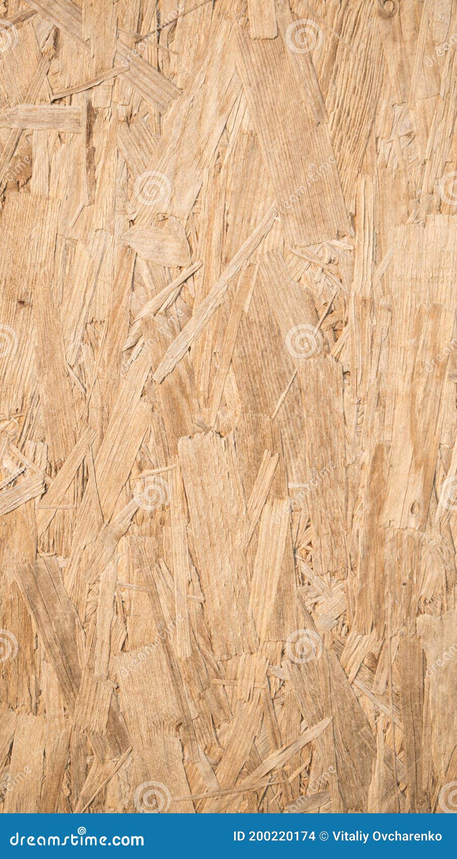 Texture of Wood Particle Board Stock Photo - Image of abstract, wood ...