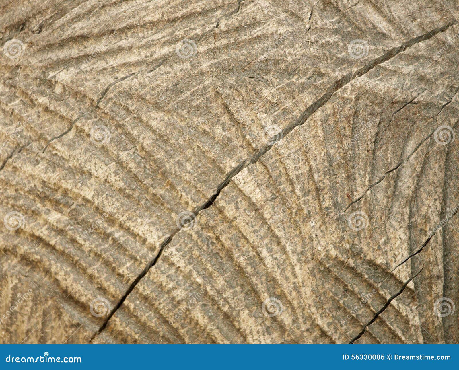 Texture of wood processing stock photo. Image of abstraction - 56330086