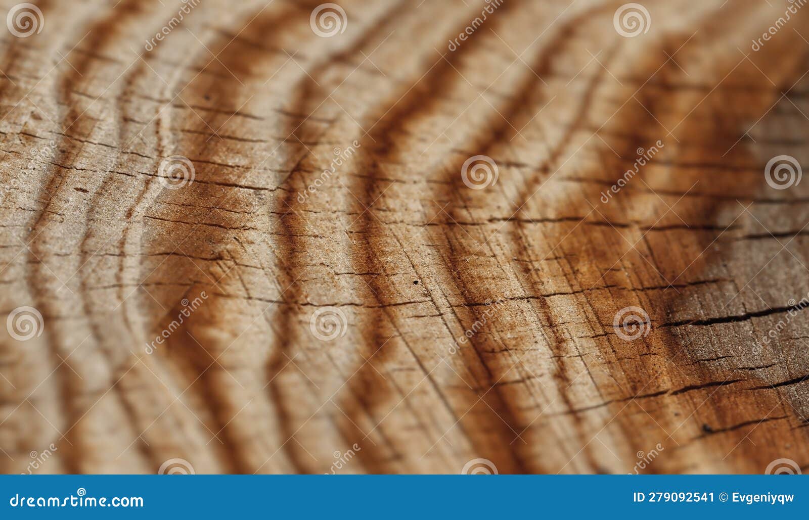 Texture of the Wood, Shallow Depth of Field Stock Image - Image of ...
