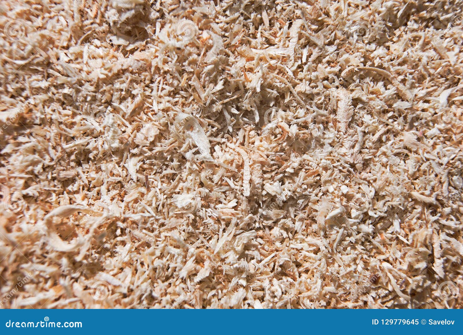 The Texture of Wood Shavings Stock Image - Image of light, pattern ...