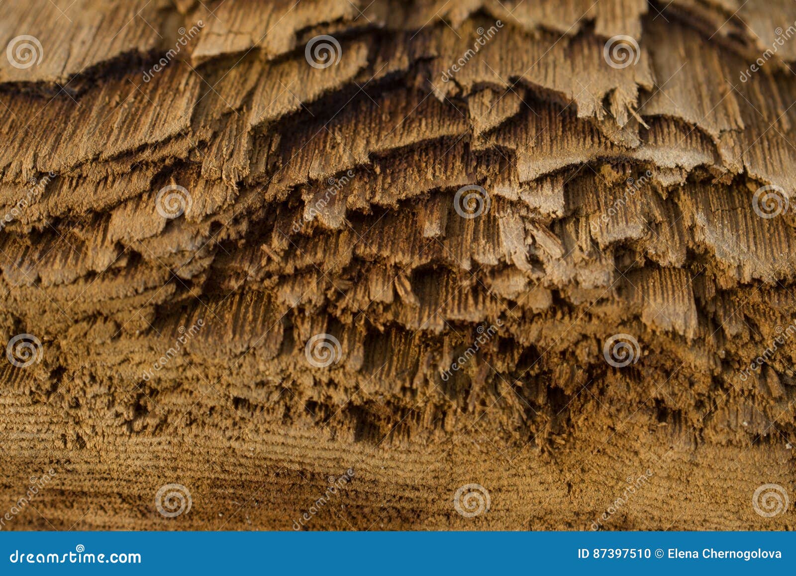 Texture. Wood. stock photo. Image of fibroid, surface - 87397510