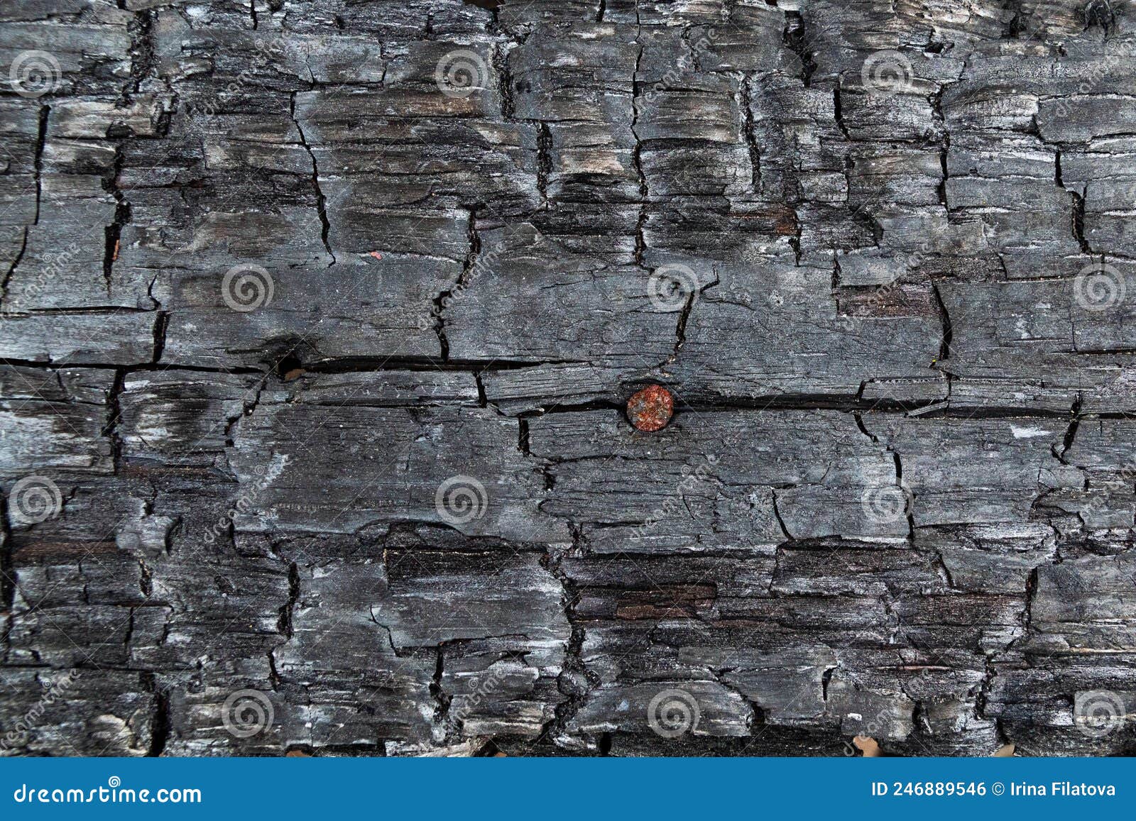 The Texture of a Wooden Beam after a Fire Stock Photo - Image of burn ...