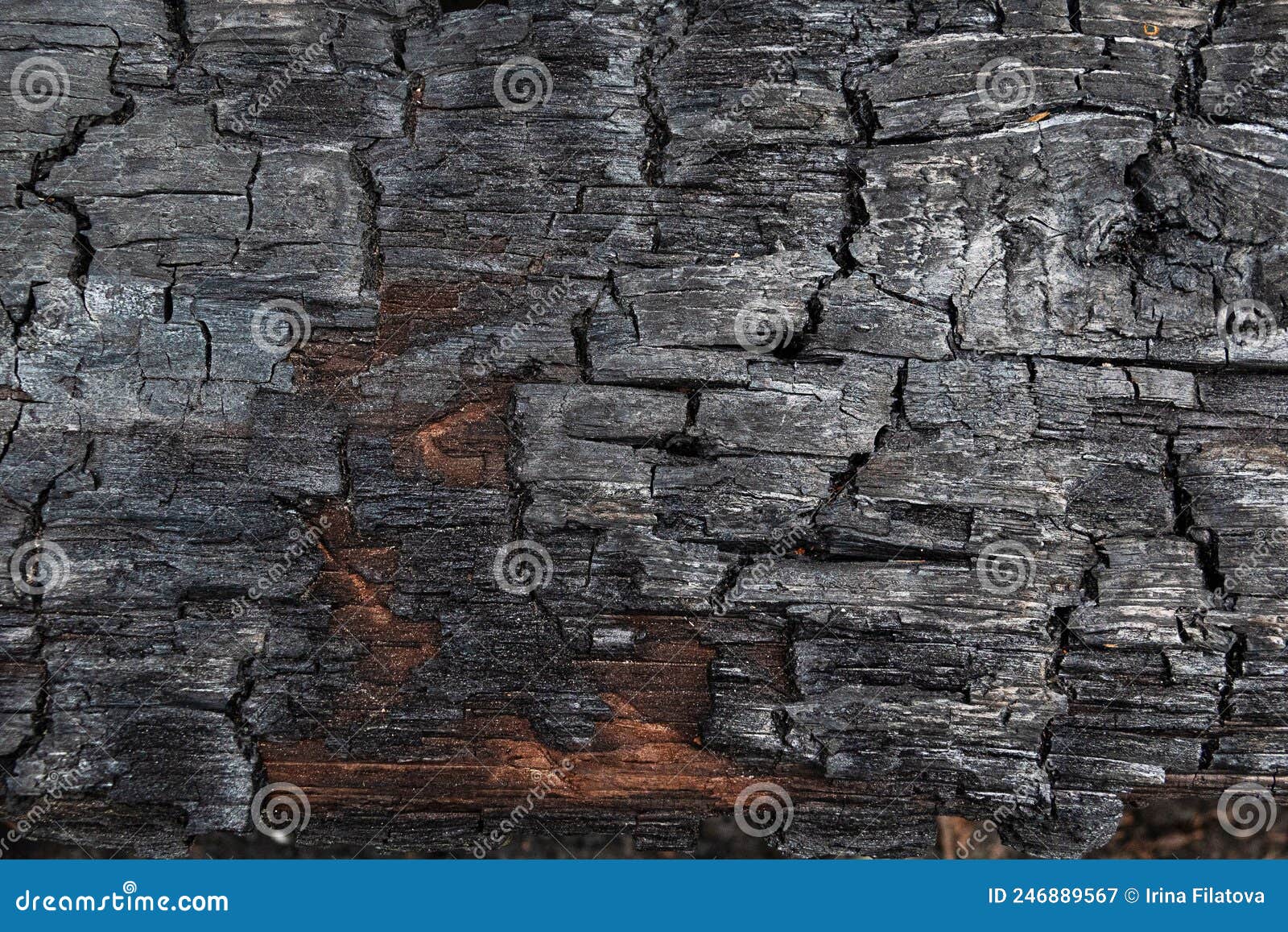 The Texture of a Wooden Beam after a Fire Stock Image - Image of beam ...