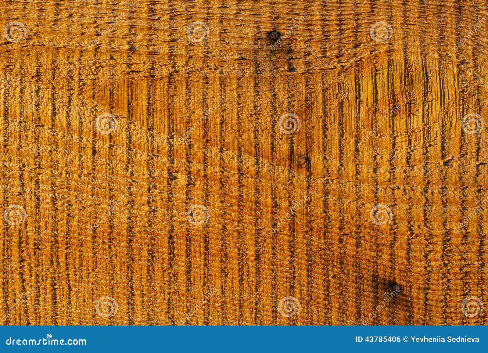Texture of Wooden Lining Board Stock Photo - Image of material, design ...