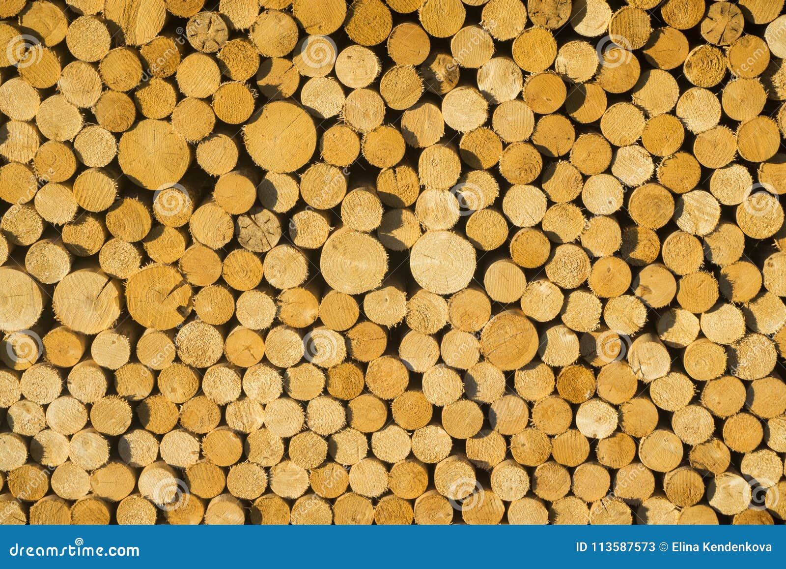 Texture of Wooden Logs for Designs, Pattern for Backgrounds Stock Image ...