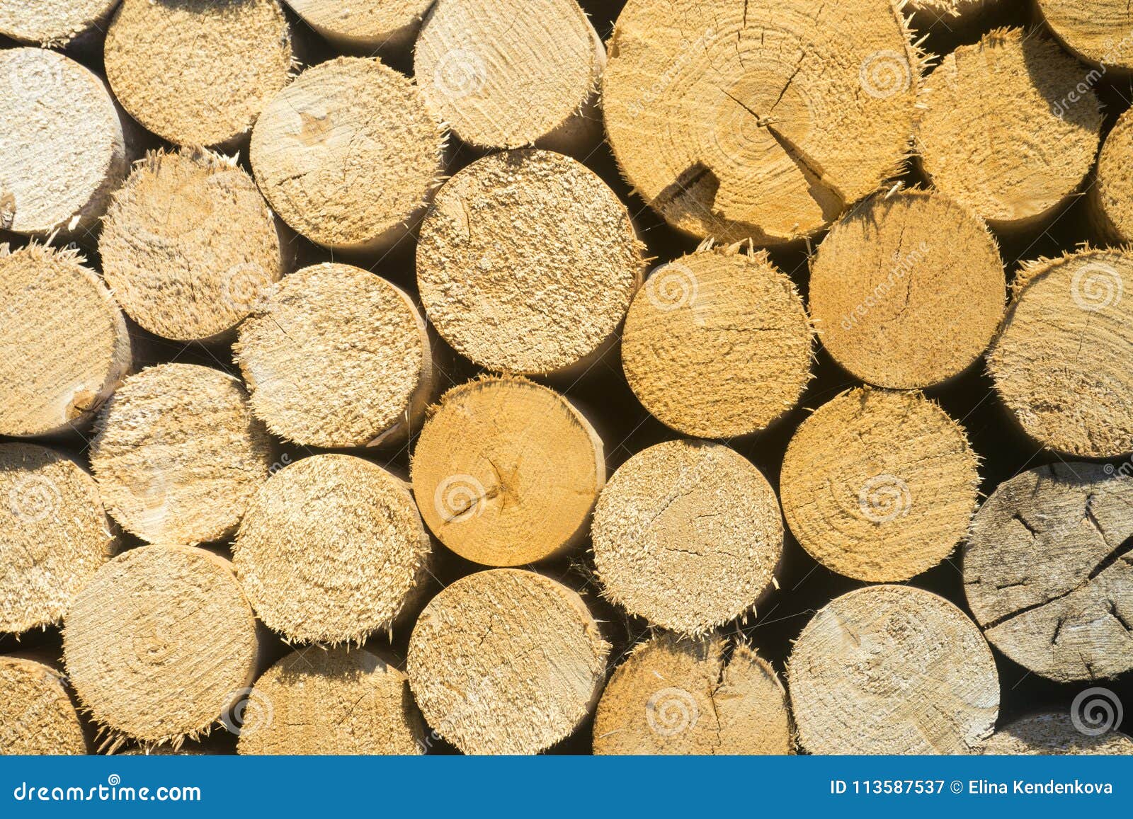 Texture of Wooden Logs for Designs, Pattern for Backgrounds Stock Image ...