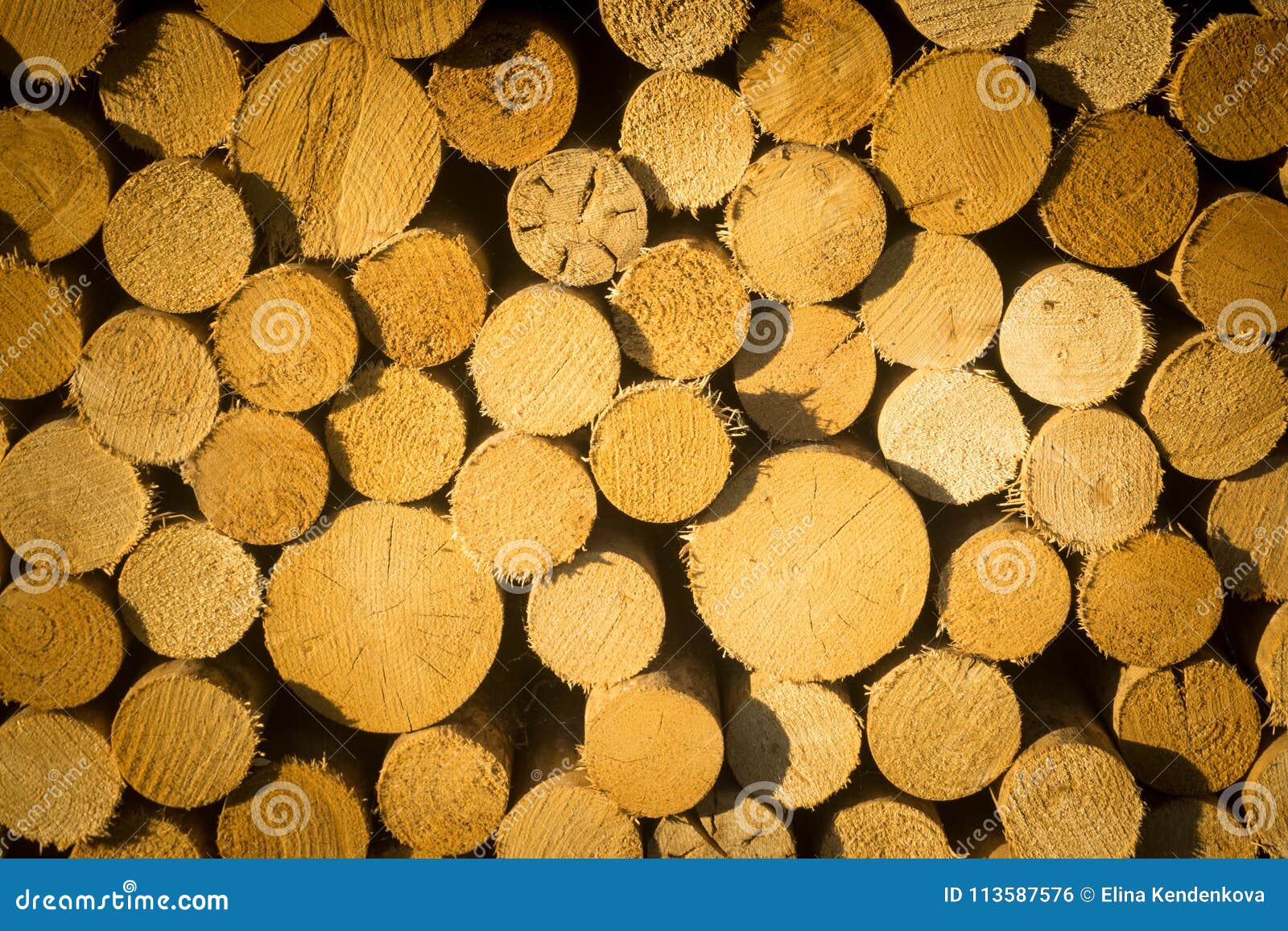 Texture of Wooden Logs for Designs, Pattern for Backgrounds Stock Photo ...