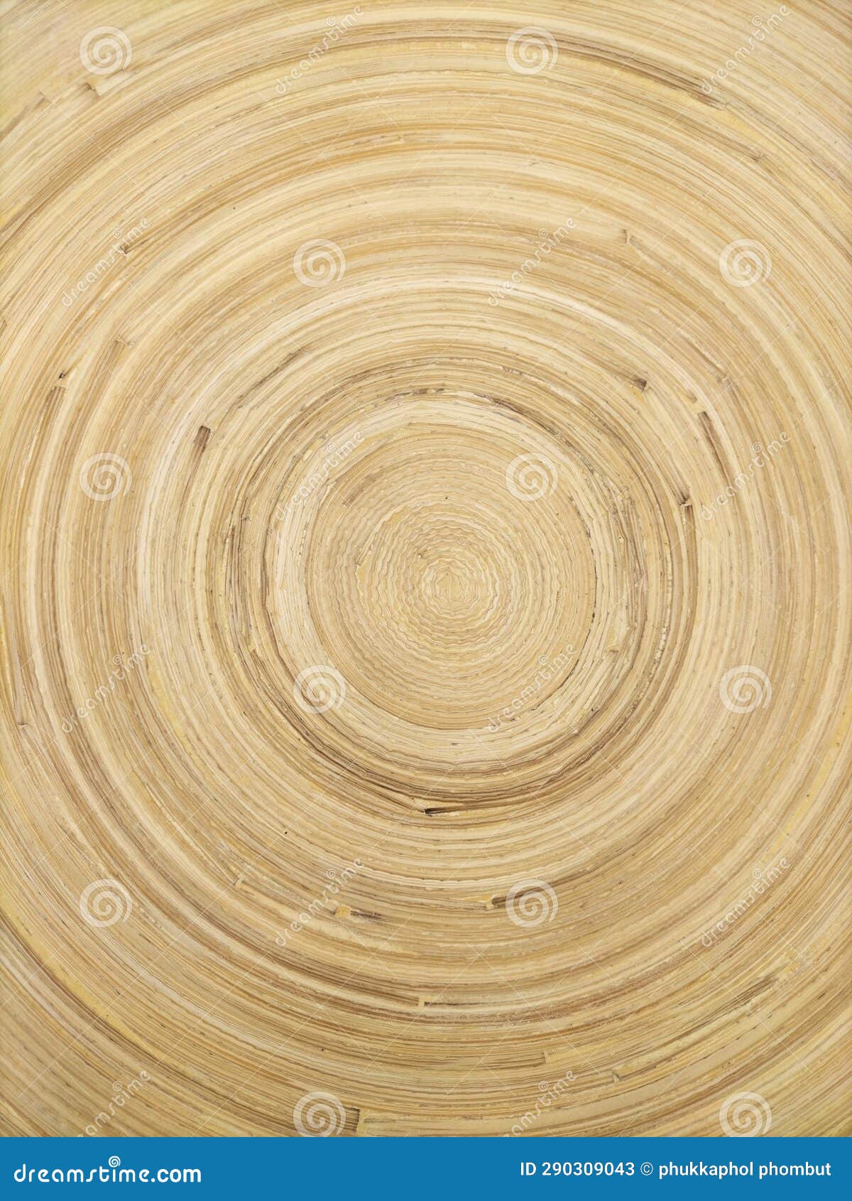 Texture Wooden Pattern Plate, Rolled into a Circle, Light Brown. Stock ...