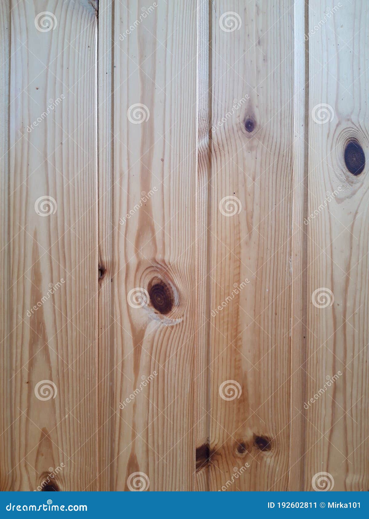 Texture of the Wooden Rods with the Typical Knots Stock Image - Image ...