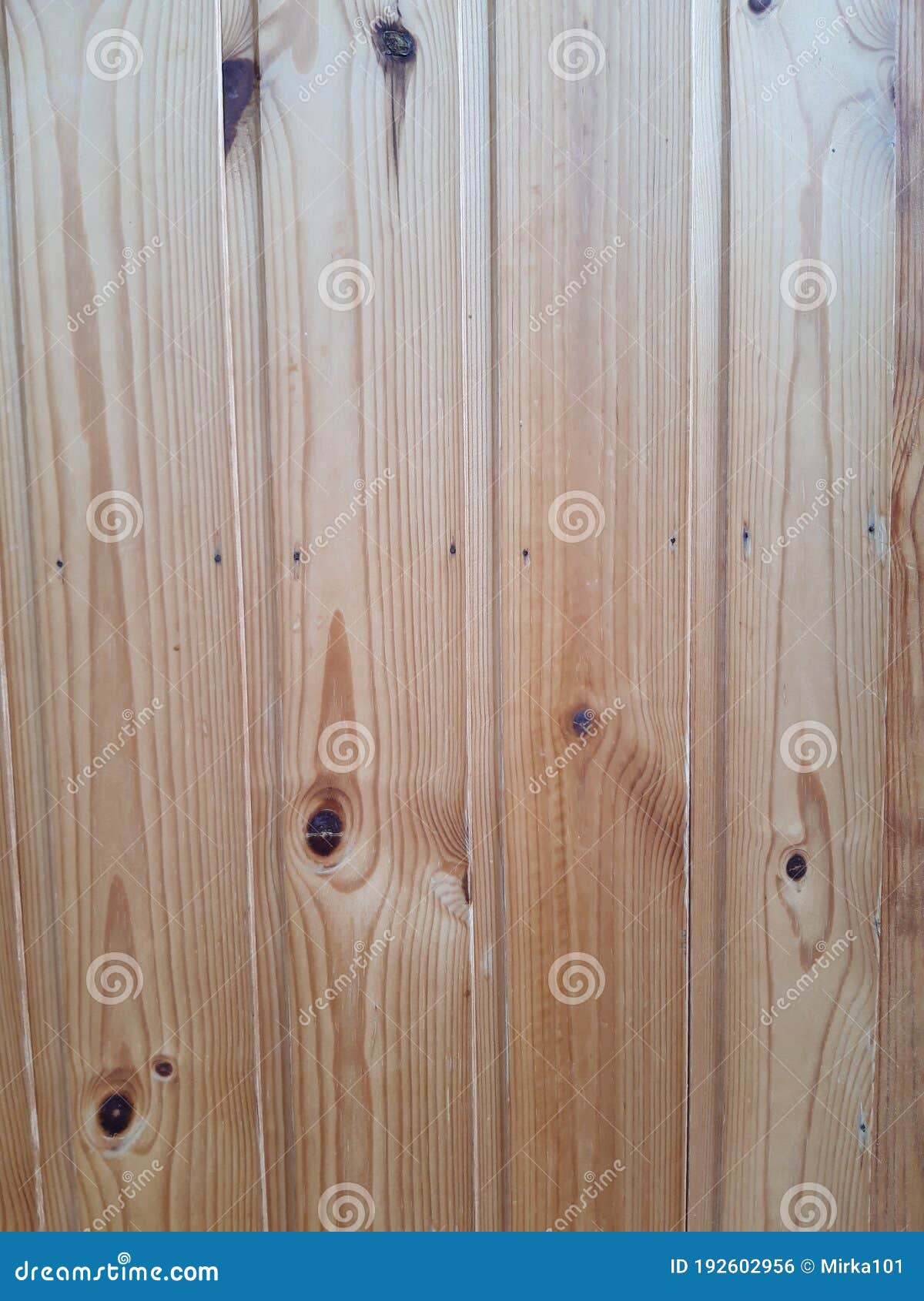 Texture of the Wooden Rods with the Typical Knots Stock Photo - Image ...