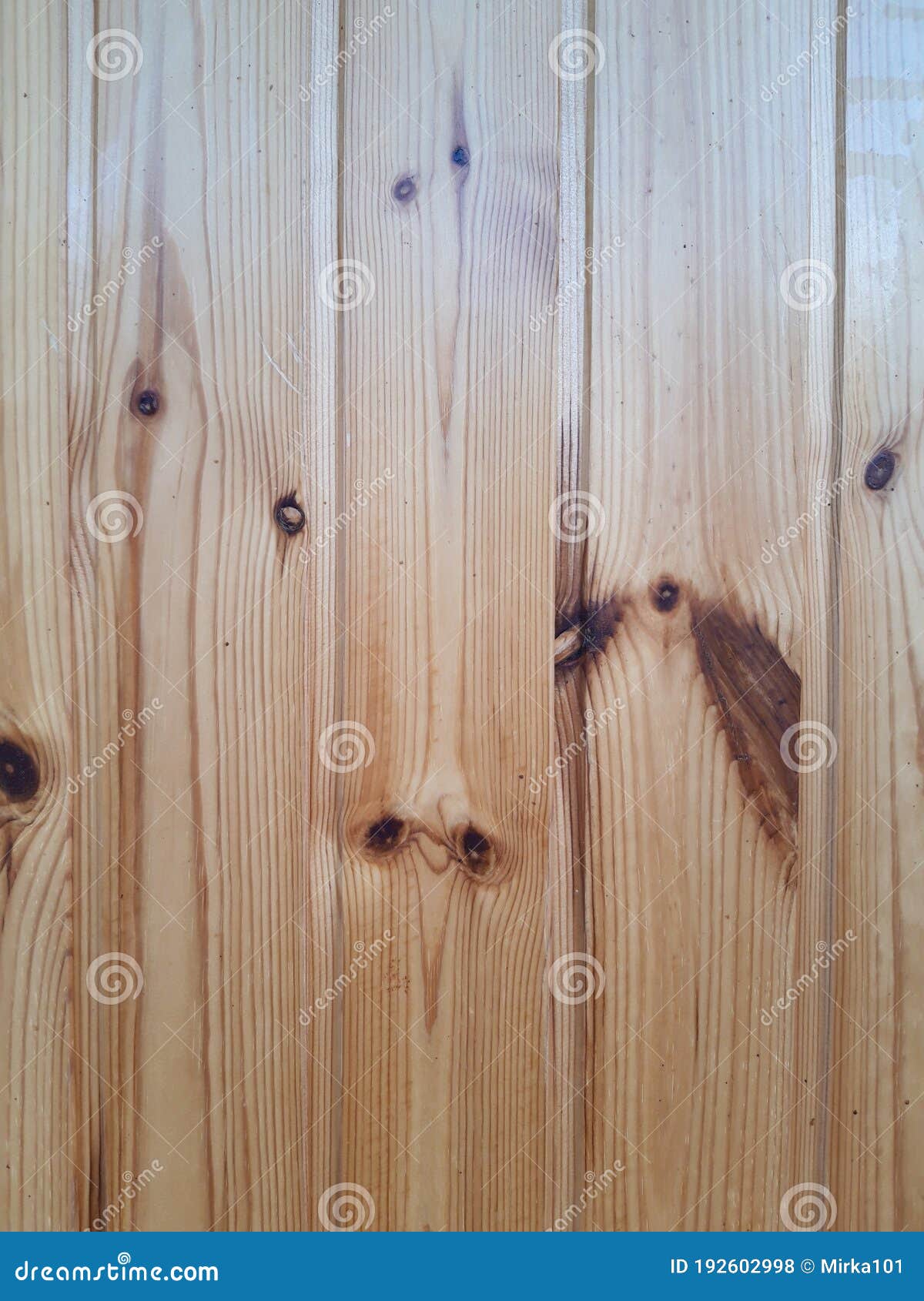Texture of the Wooden Rods with the Typical Knots Stock Photo - Image ...