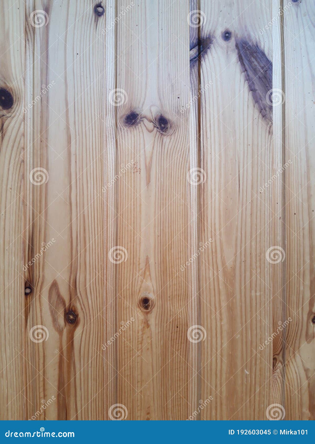Texture of the Wooden Rods with the Typical Knots Stock Image - Image ...
