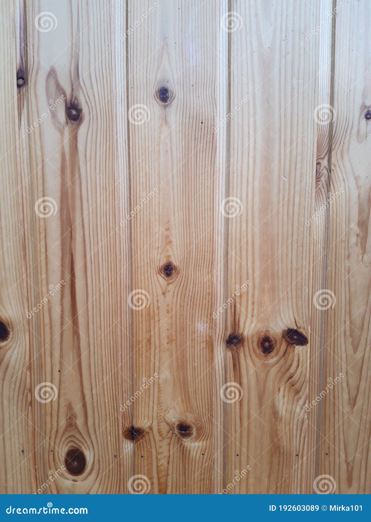 Texture of the Wooden Rods with the Typical Knots Stock Image - Image ...