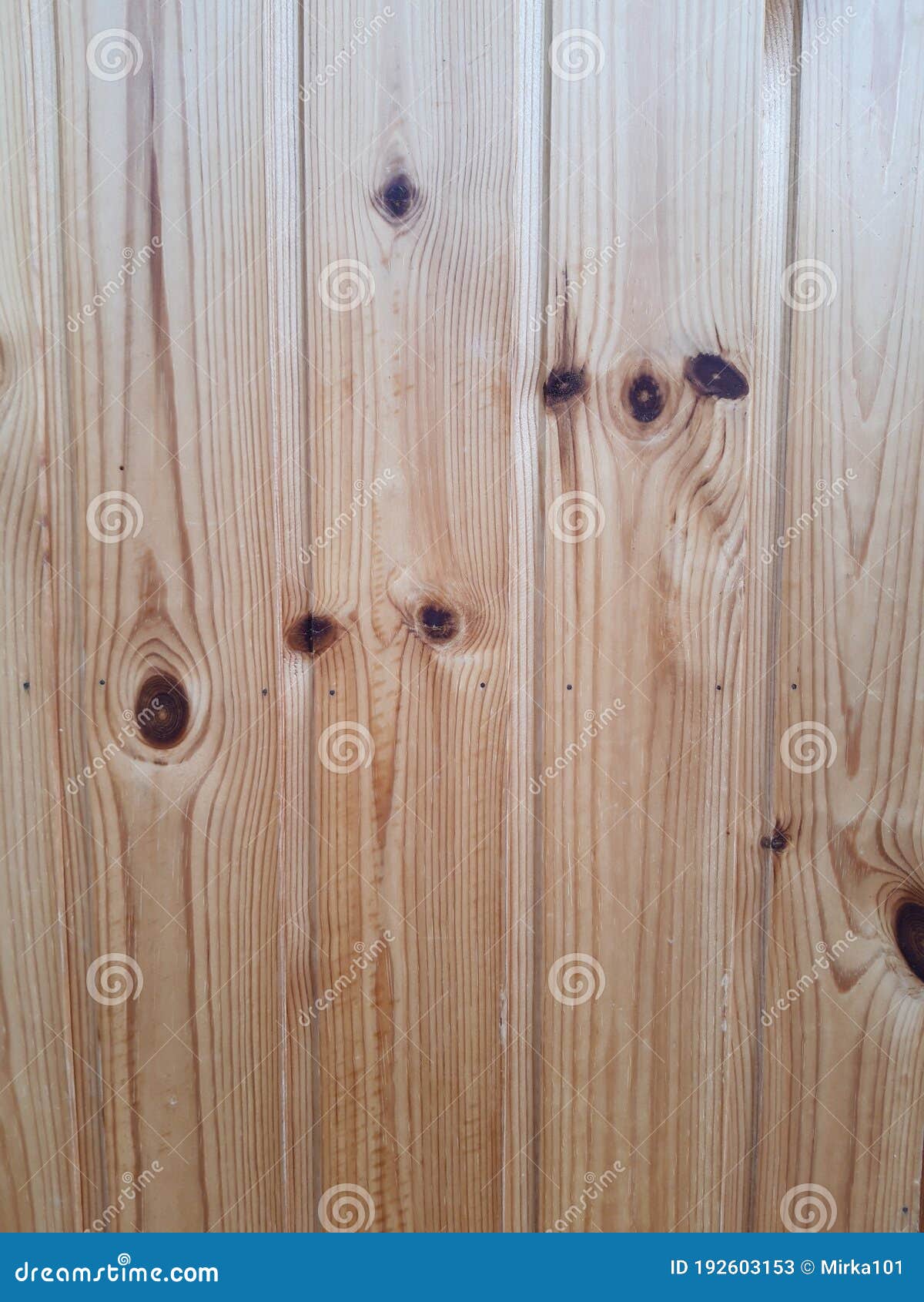 Texture of the Wooden Rods with the Typical Knots Stock Image - Image ...