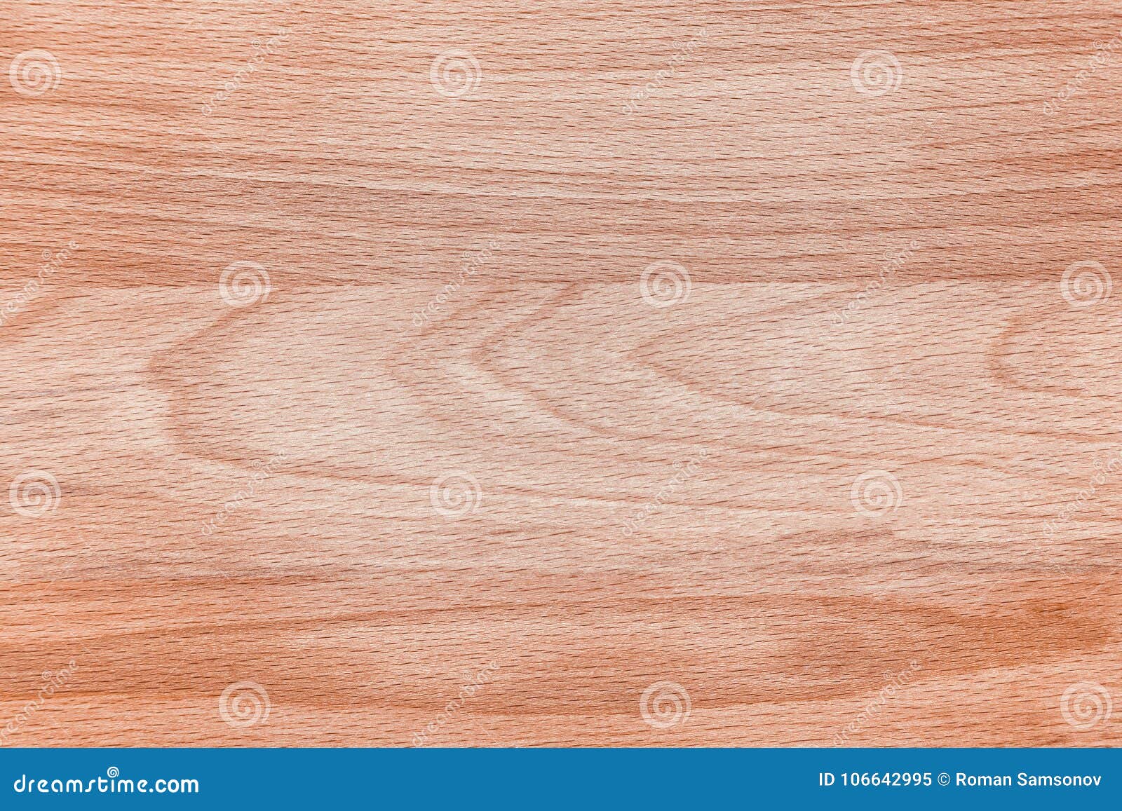 Wooden Smooth Surface Of The Ramp For Wheelchairs, Cyclists And Mothers ...
