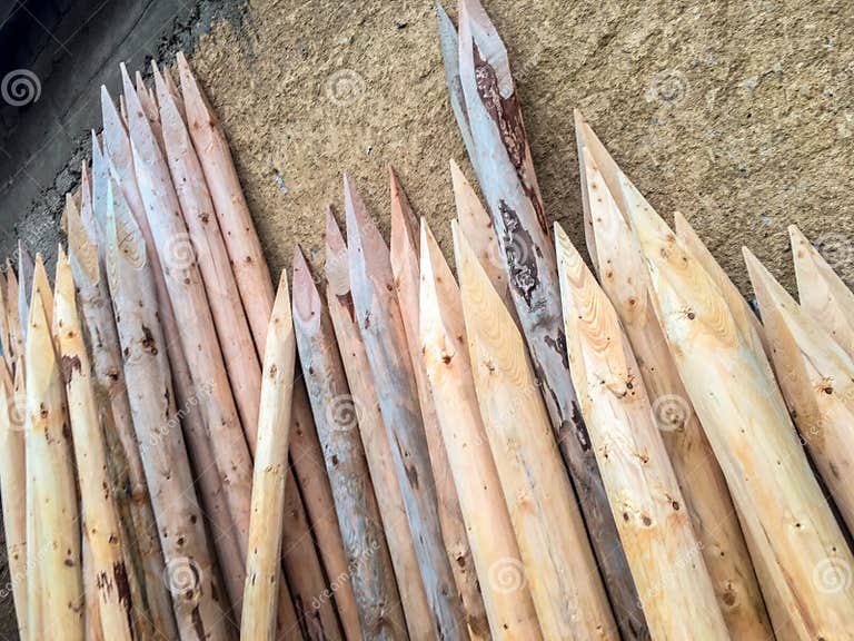 Texture of Wooden Stakes in a Different Perspective Stock Photo - Image ...