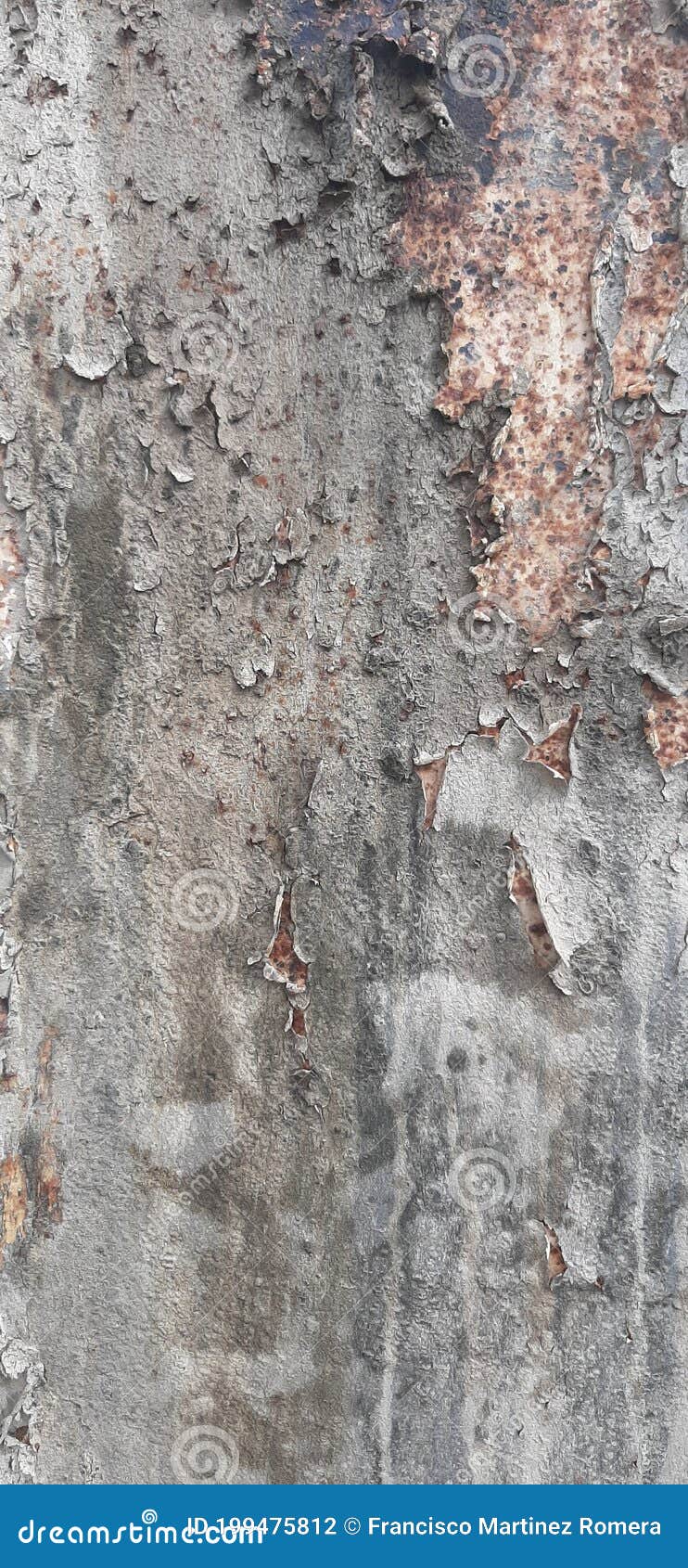 Texture Worn Paint, Texture of Worn Paint on Rusty Metal Bottom, Rusty ...