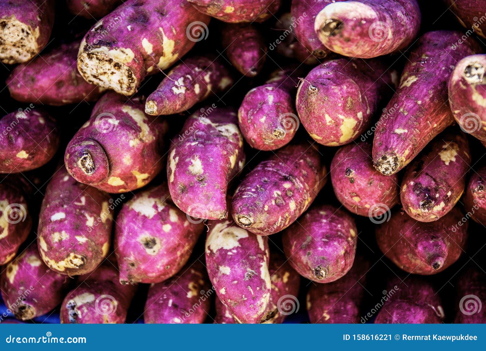 Texture of yam stock image. Image of farmer, natural - 158616221