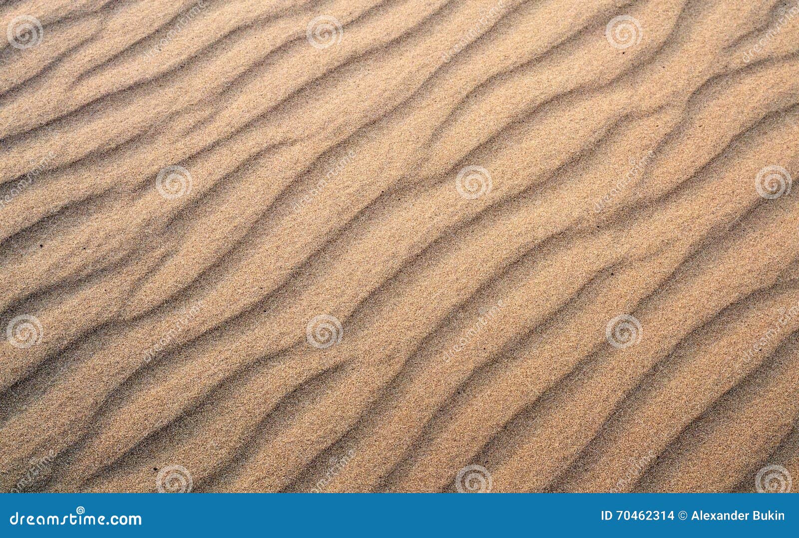 Texture of Yellow Sand, Background Stock Photo - Image of texture ...