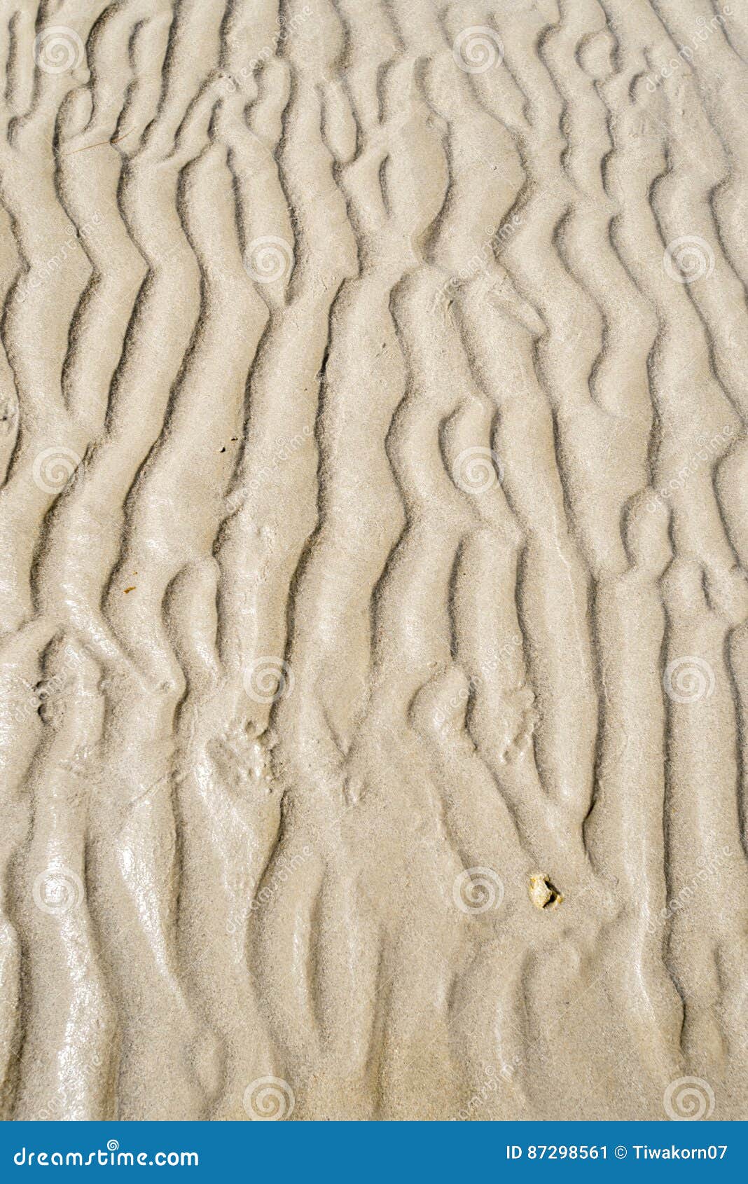 Texture of yellow sand stock image. Image of light, coastline - 87298561