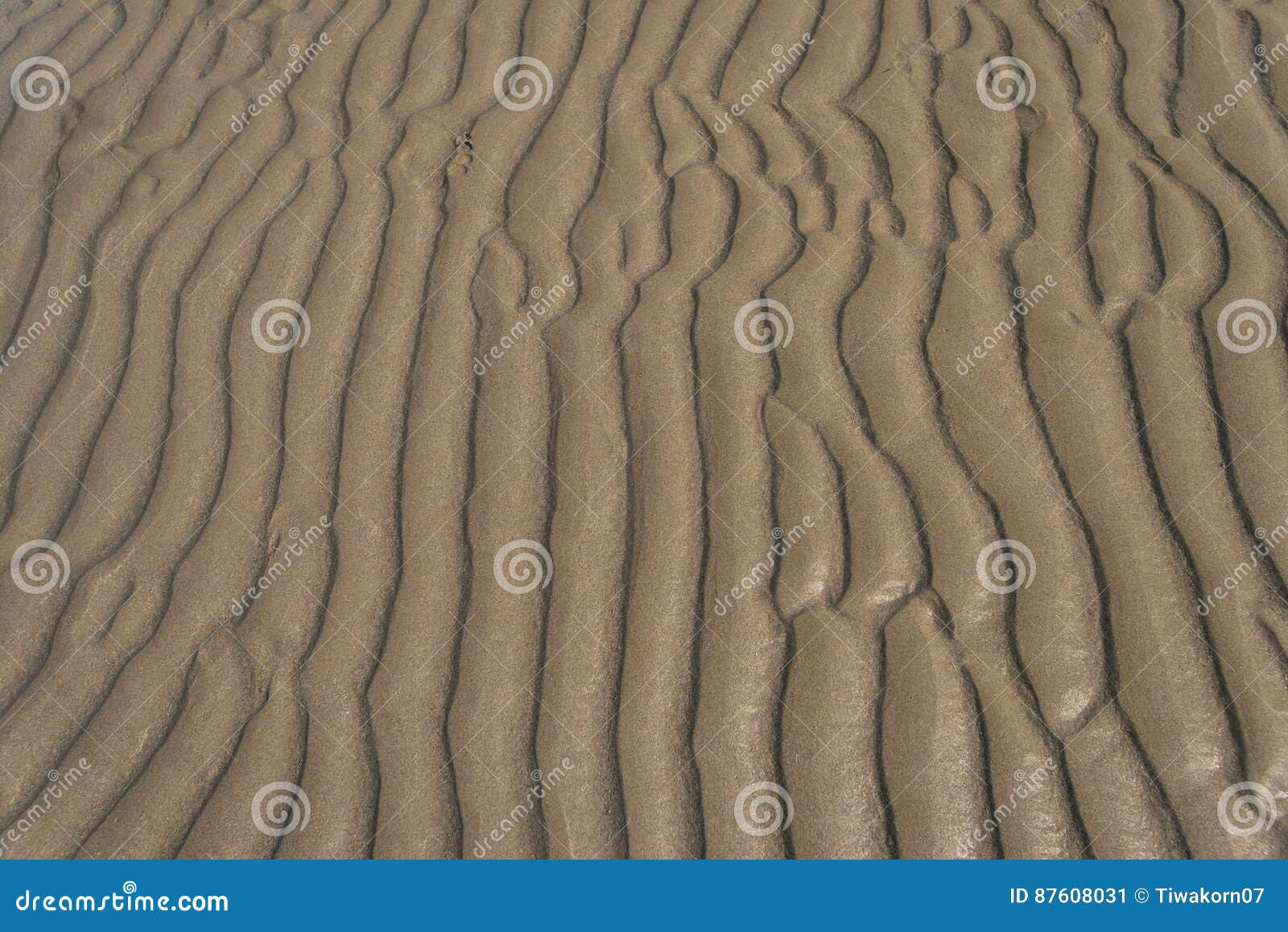 Texture of yellow sand stock image. Image of alone, evening - 87608031