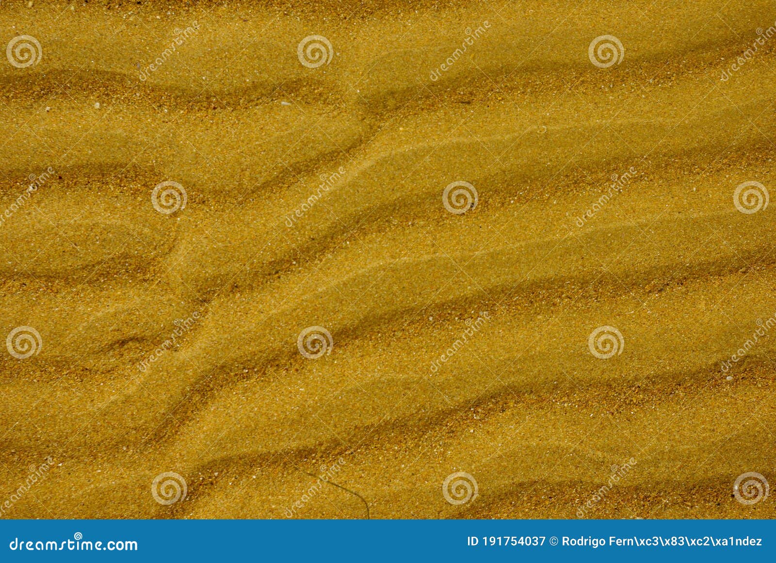 Texture of Yellow Sand in the Beach Stock Image - Image of copy ...