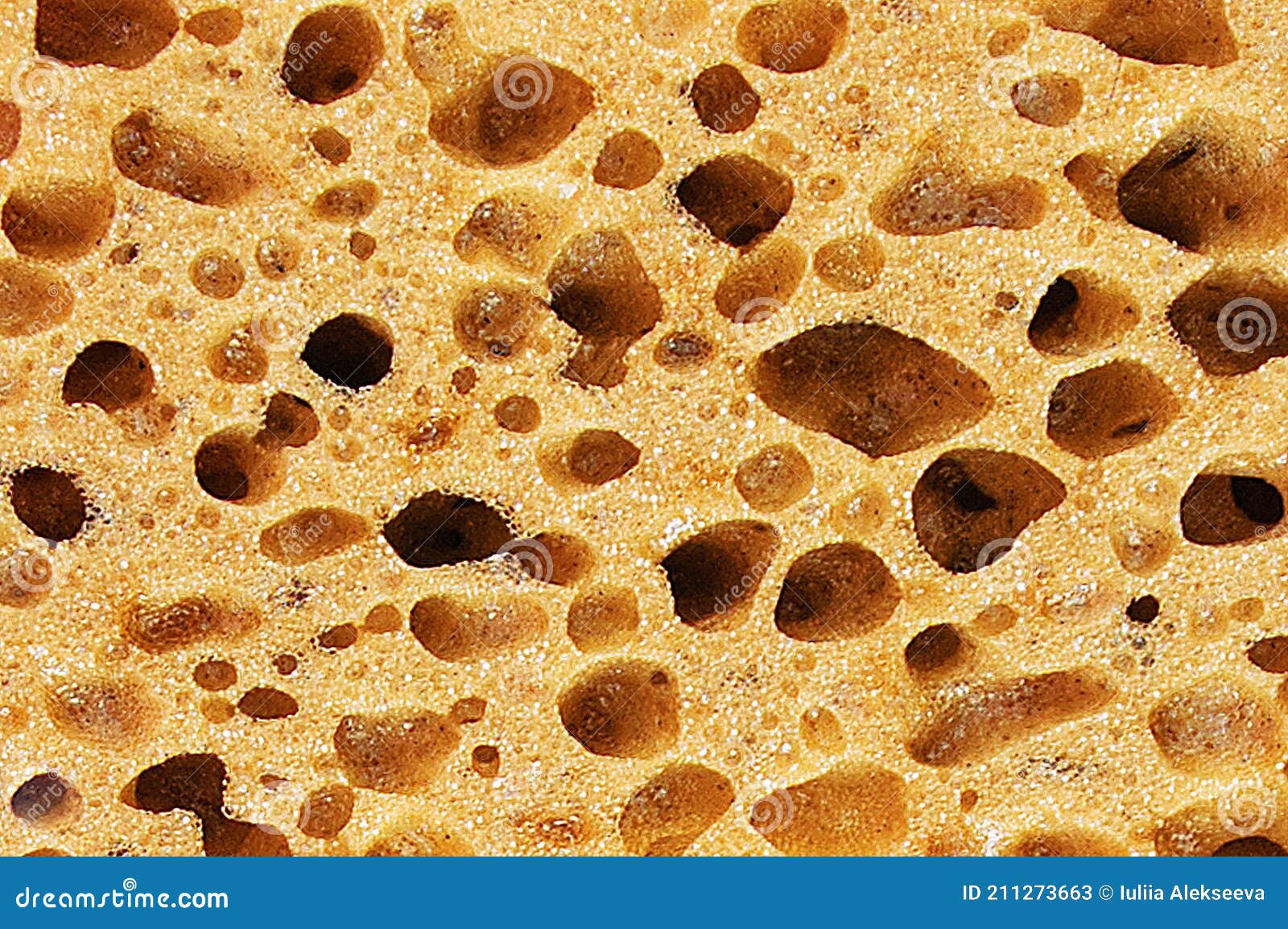 Texture of Yellow Sea Sponge Close Up. Wallpaper Stock Image - Image of ...