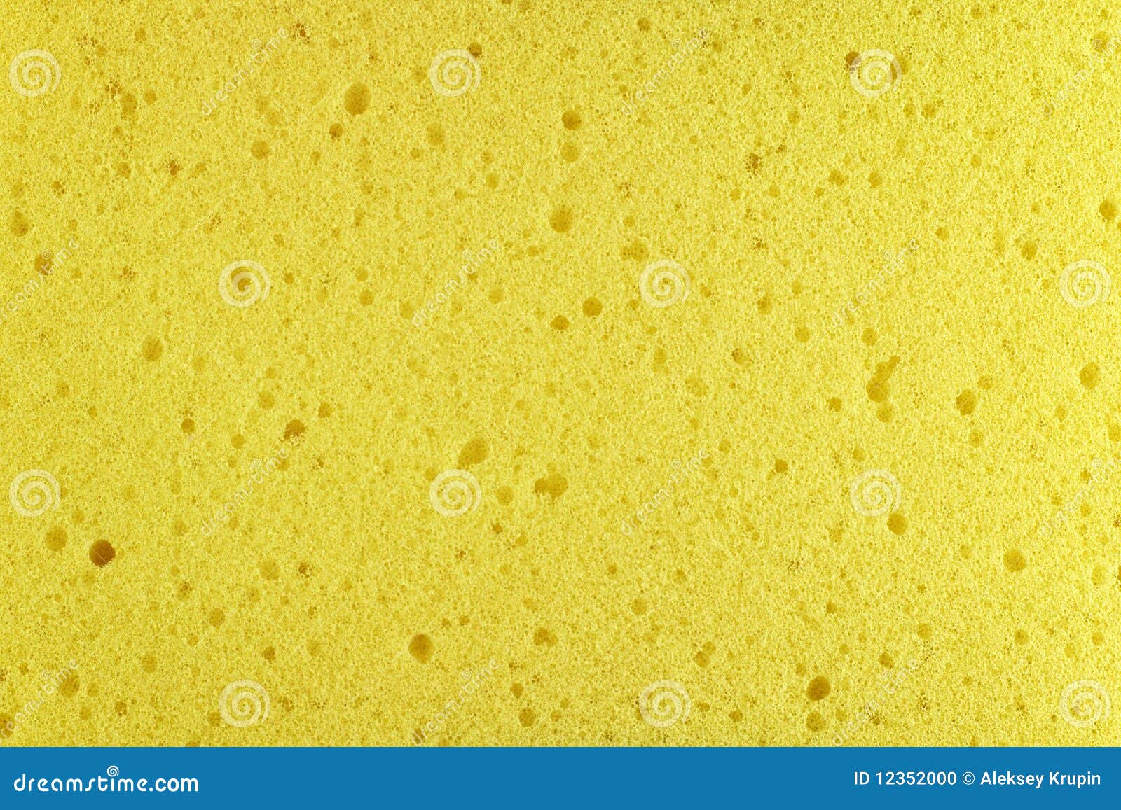 Texture yellow sponge stock photo. Image of suds, foam - 12352000