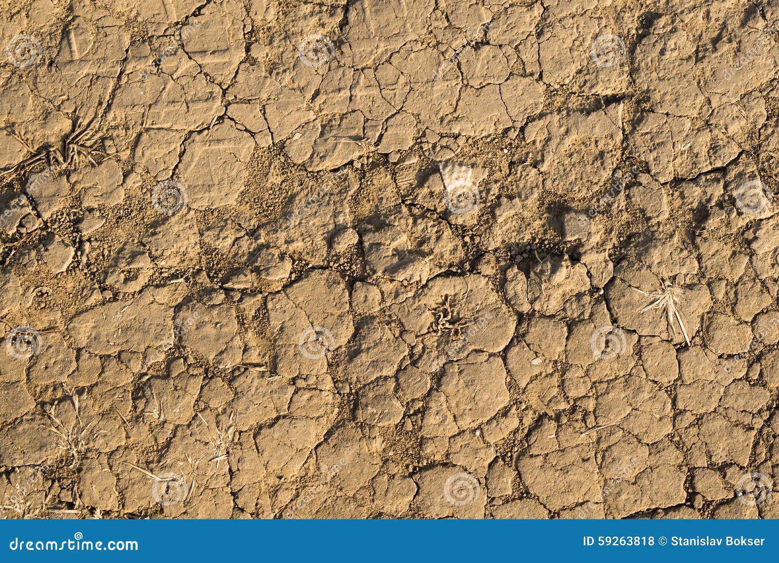 Texture of Yellow Withered Earth Stock Photo - Image of cracks ...