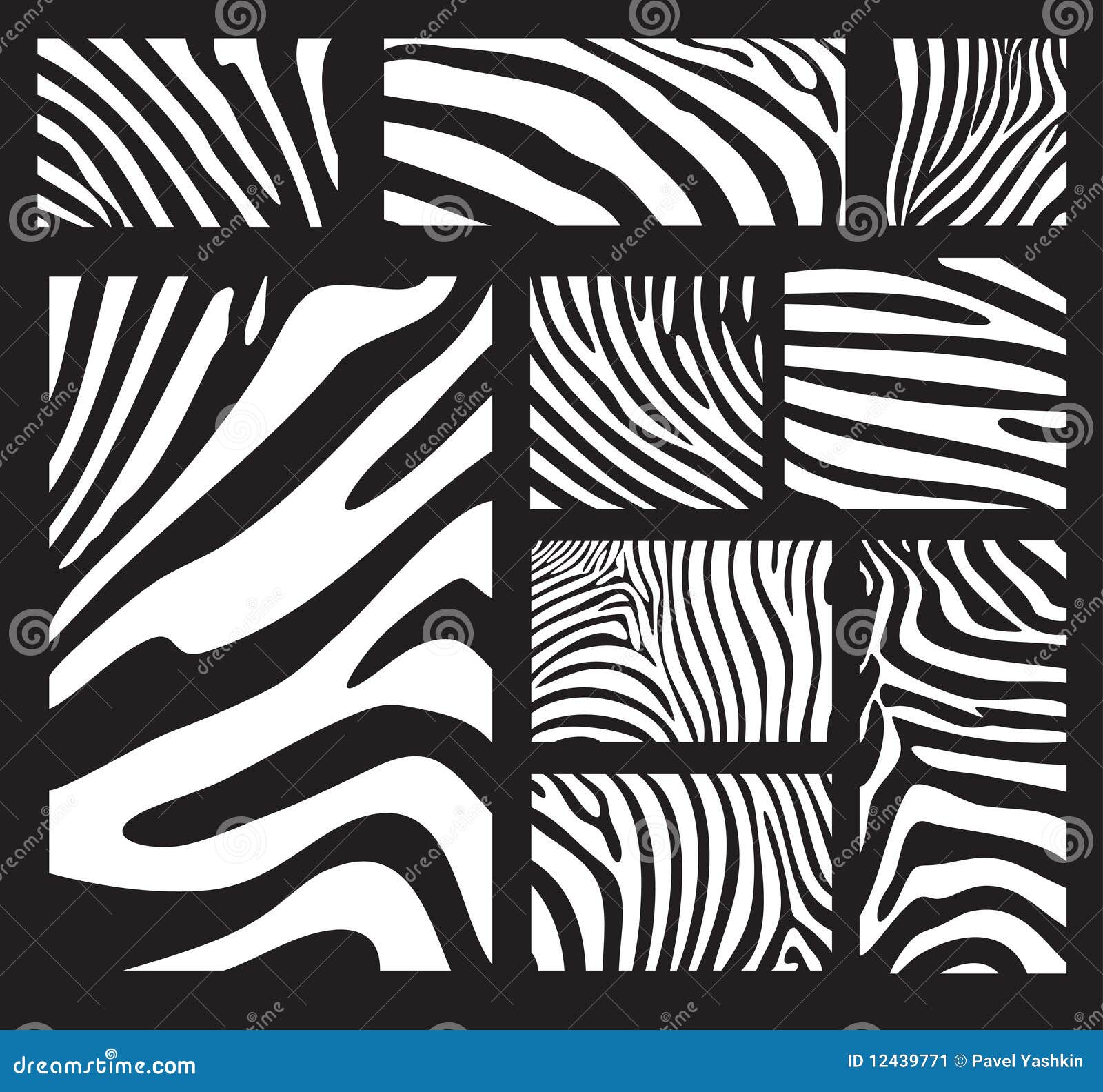 Texture of the zebra stock vector. Illustration of lines - 12439771