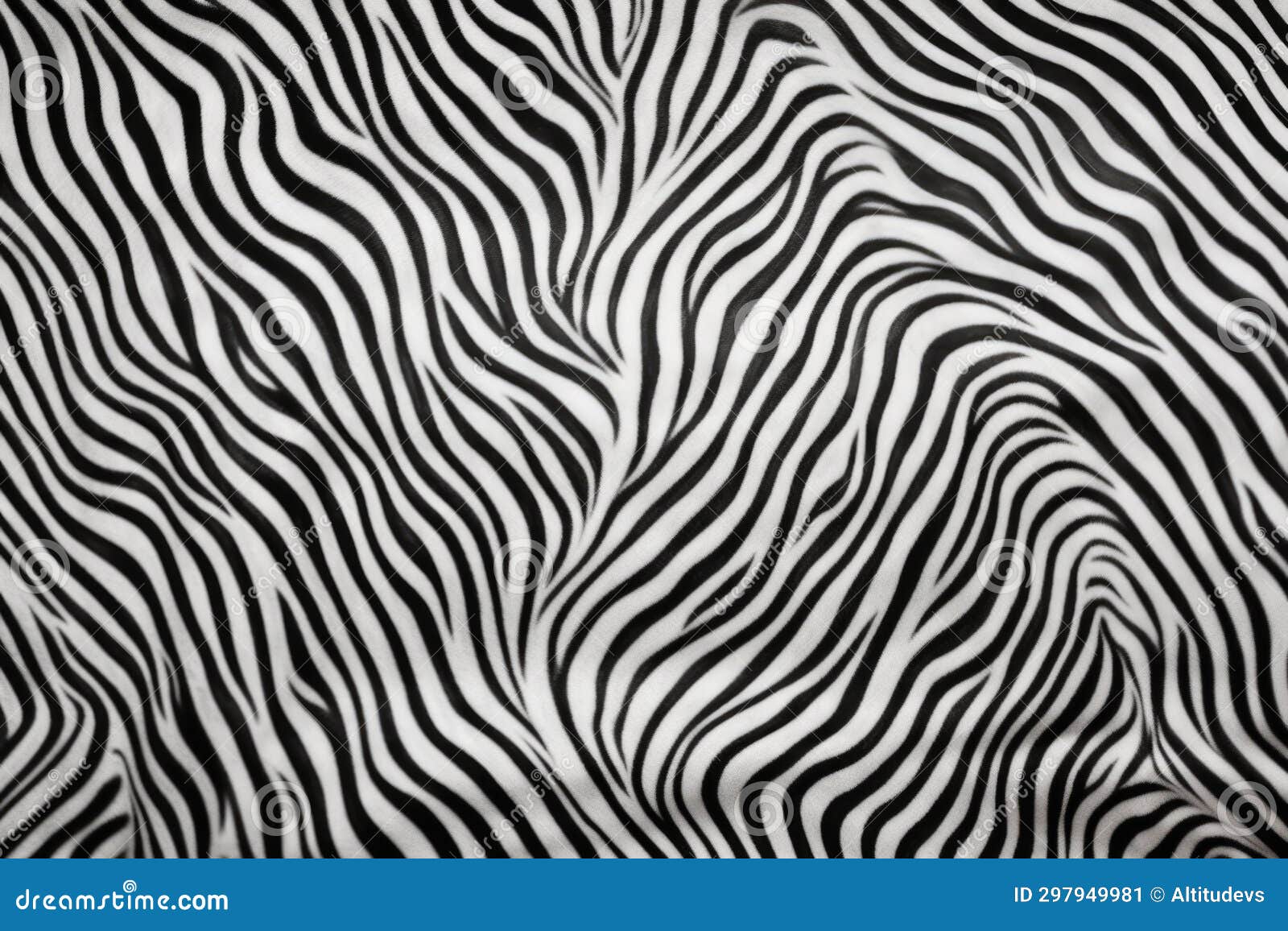 Texture of Zebra with Dense Lines Stock Illustration - Illustration of ...