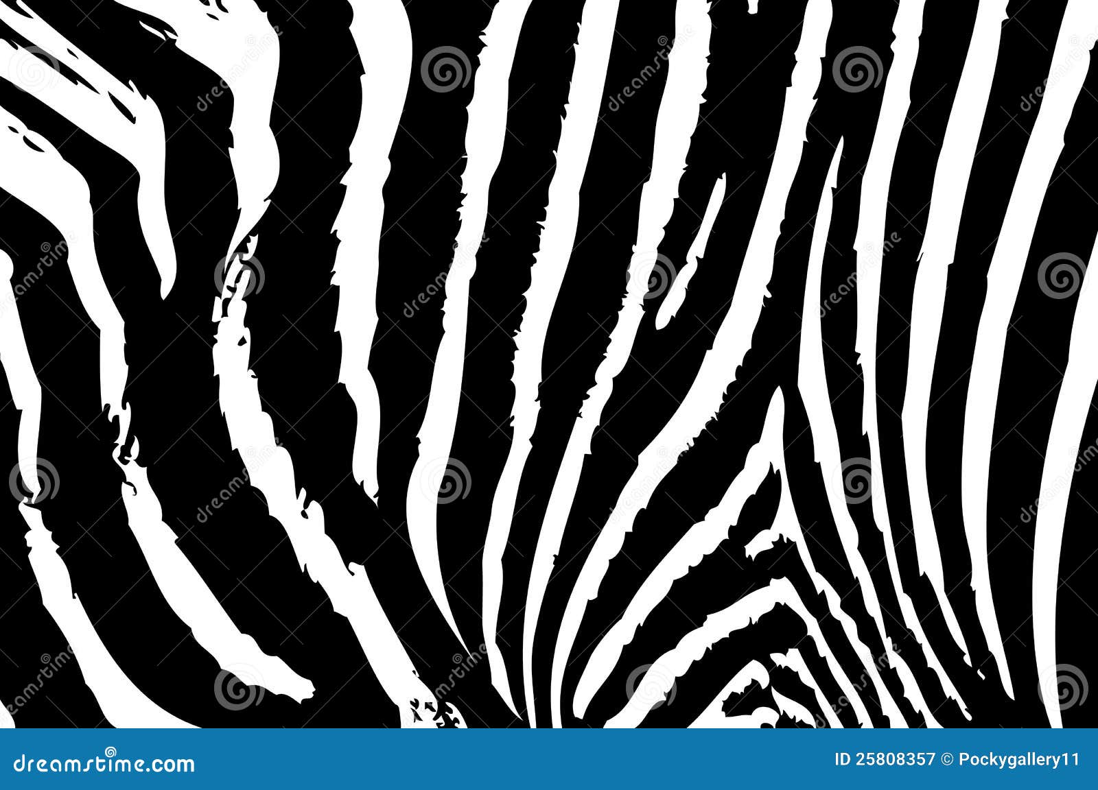 Texture of zebra skin stock vector. Illustration of natural - 25808357