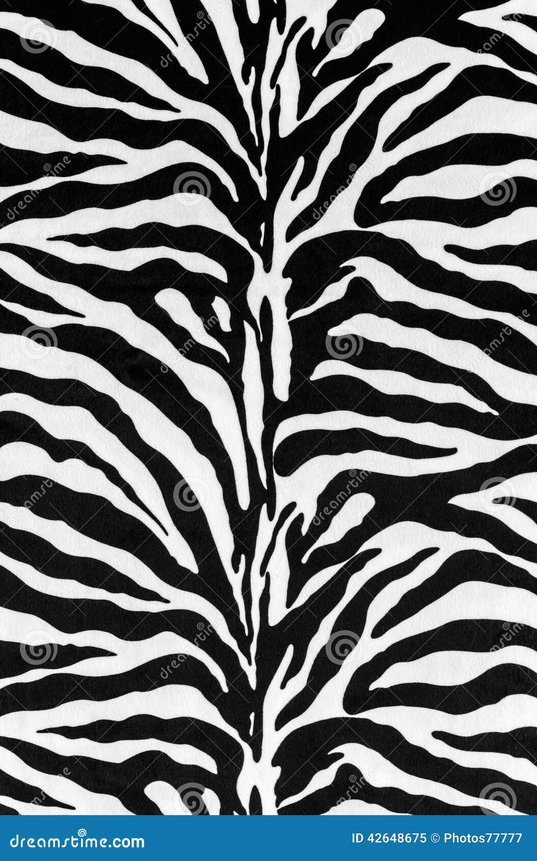 Texture of zebra skin stock image. Image of backdrop - 42648675