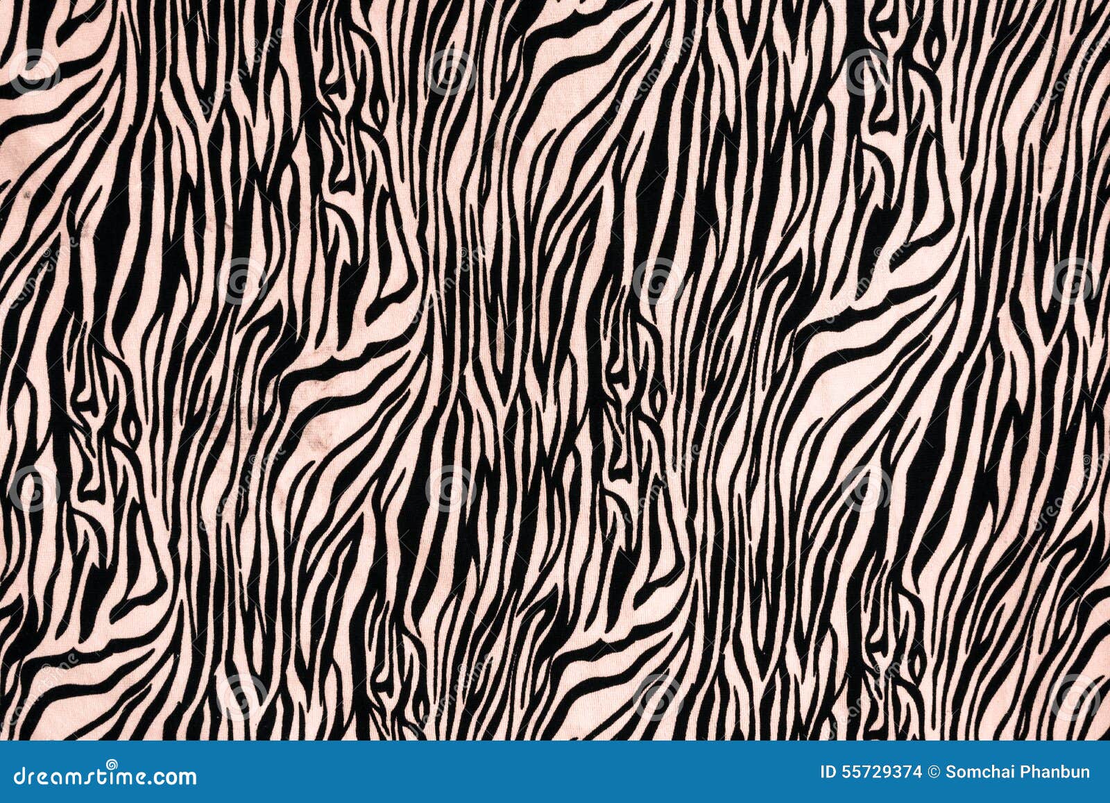 Texture of Zebra Style Fabric Stock Photo - Image of seamless, soft ...