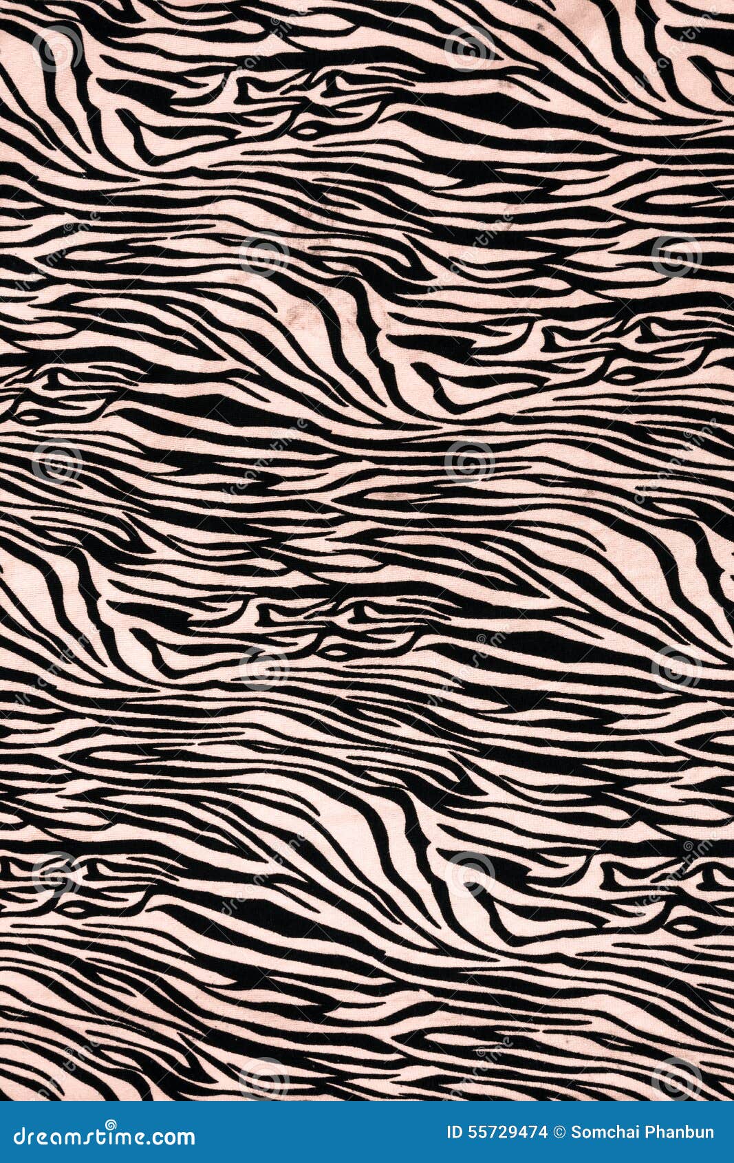 Texture of Zebra Style Fabric Stock Photo - Image of fashion, closeup ...