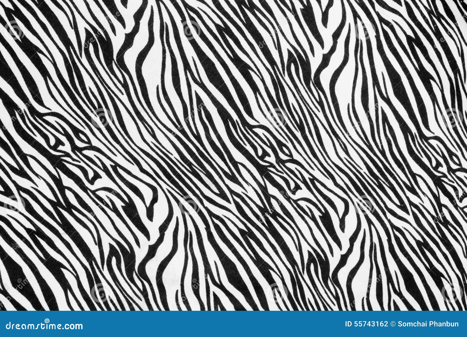 Texture of Zebra Style Fabric Stock Photo - Image of decoration, print ...