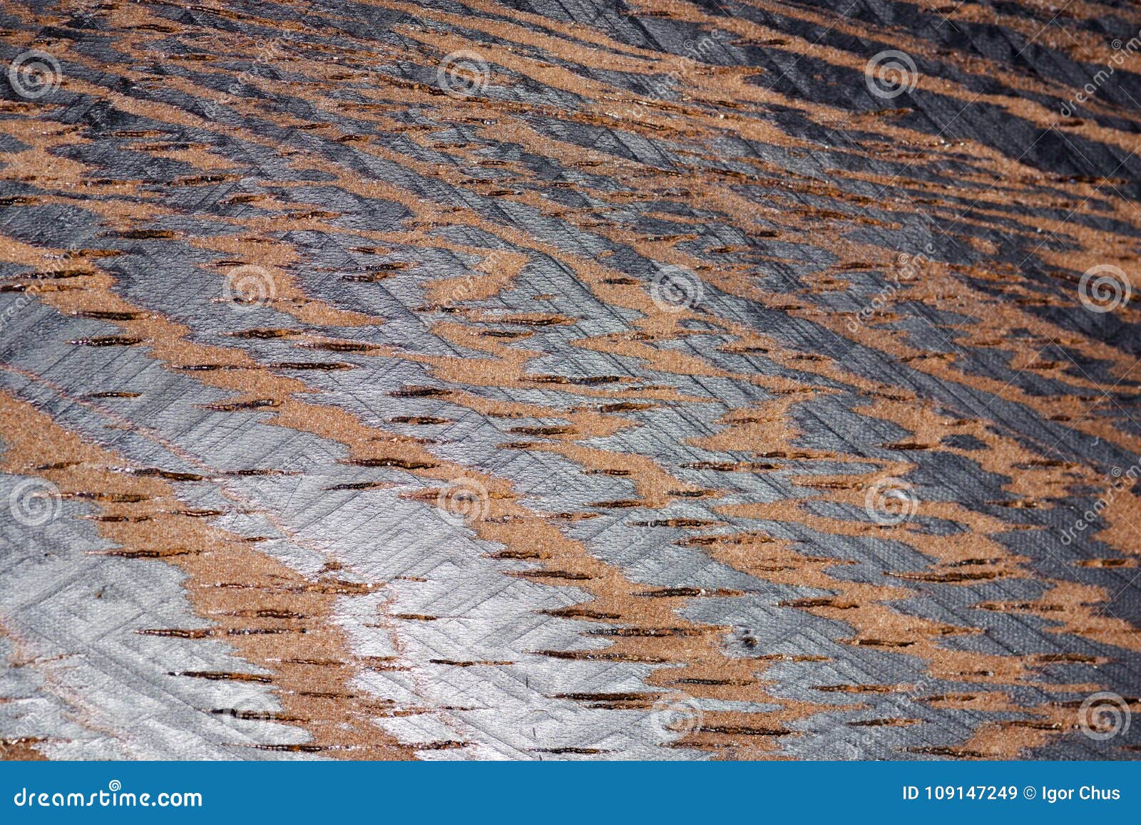 The Texture of the Zebrano Tree Shot on a Macro Lens Stock Image ...