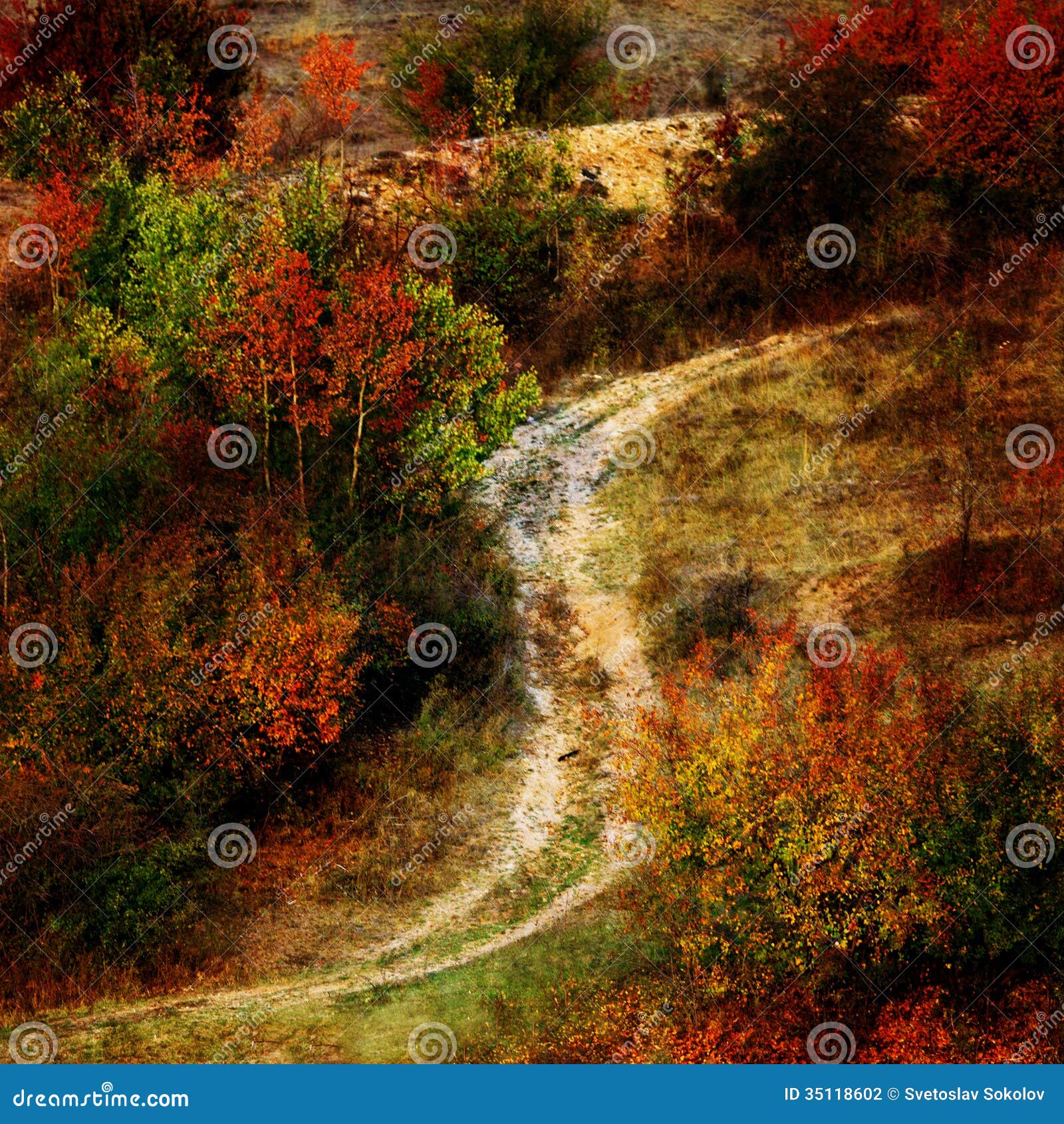 Textured autumn stock photo. Image of golden, fall, vintage - 35118602