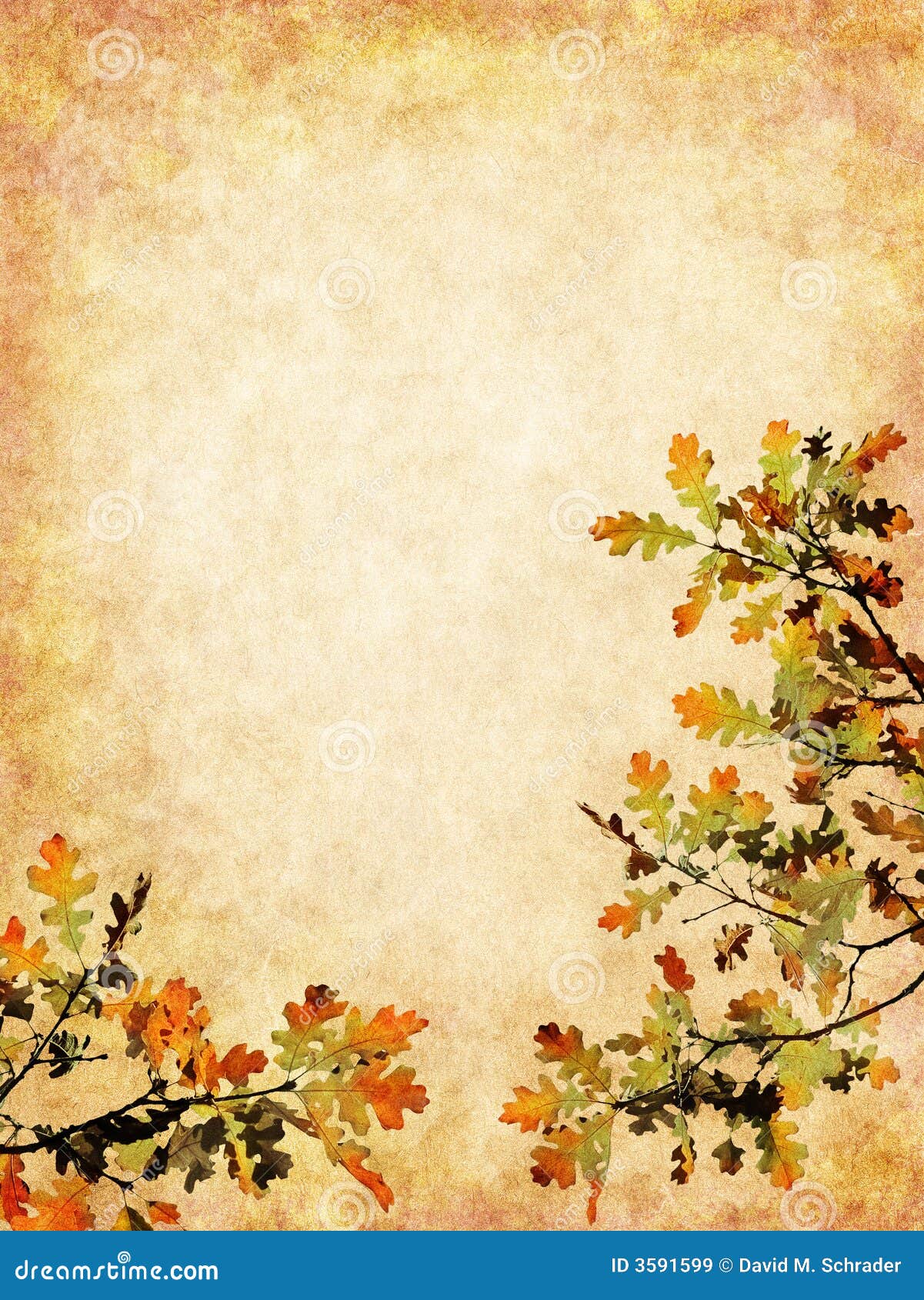 Textured Autumn Leaves stock image. Image of golden, mottled - 3591599