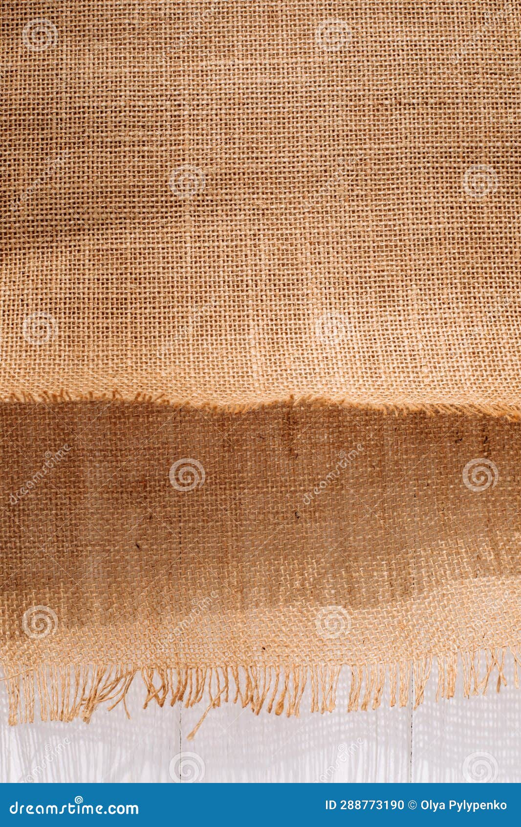 Textured Background for Design. Brown Burlap Fabric on a White ...