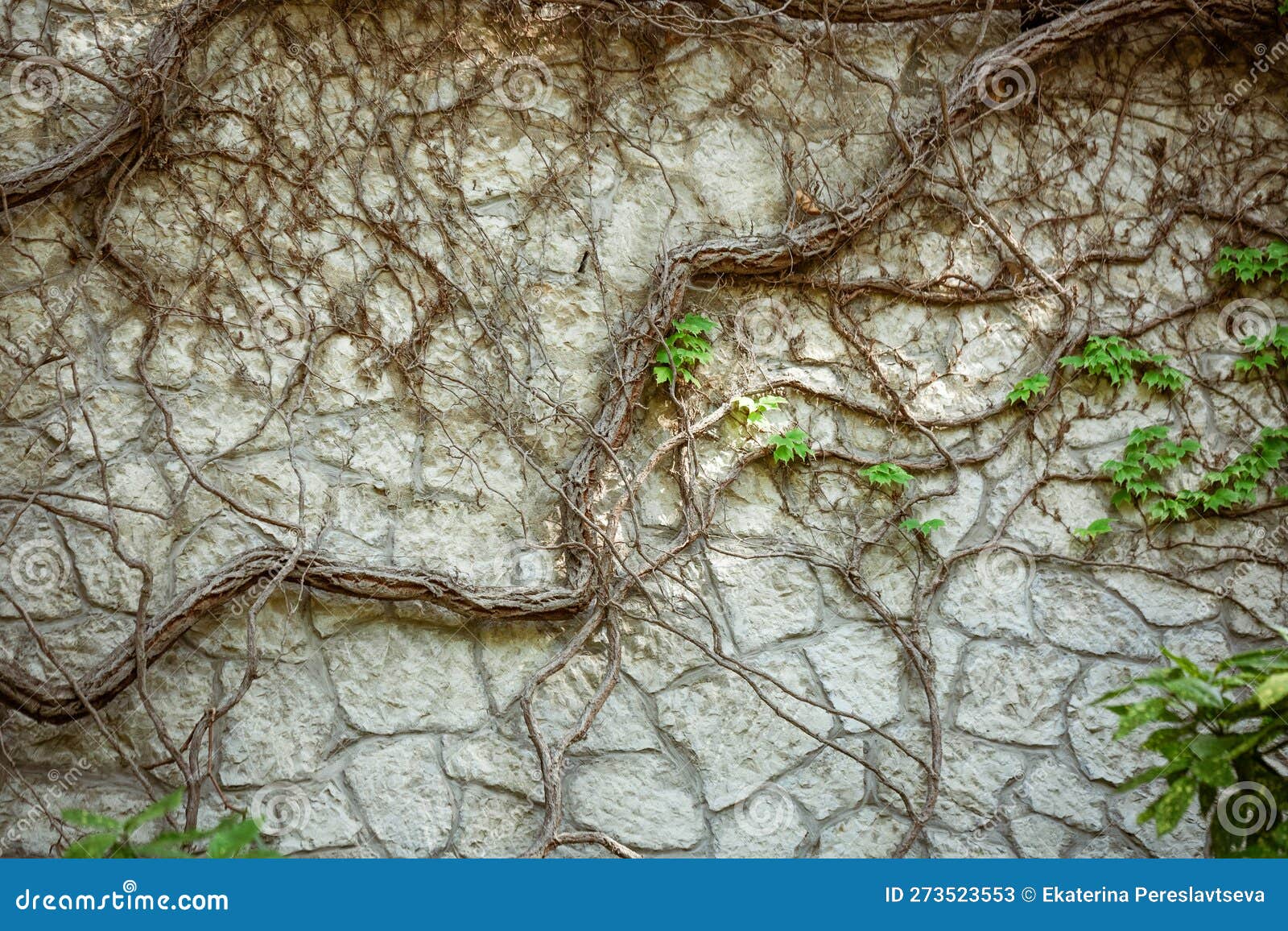 Background Of Irregular Rounded Cobblestones Of Gray And Brown Color On ...