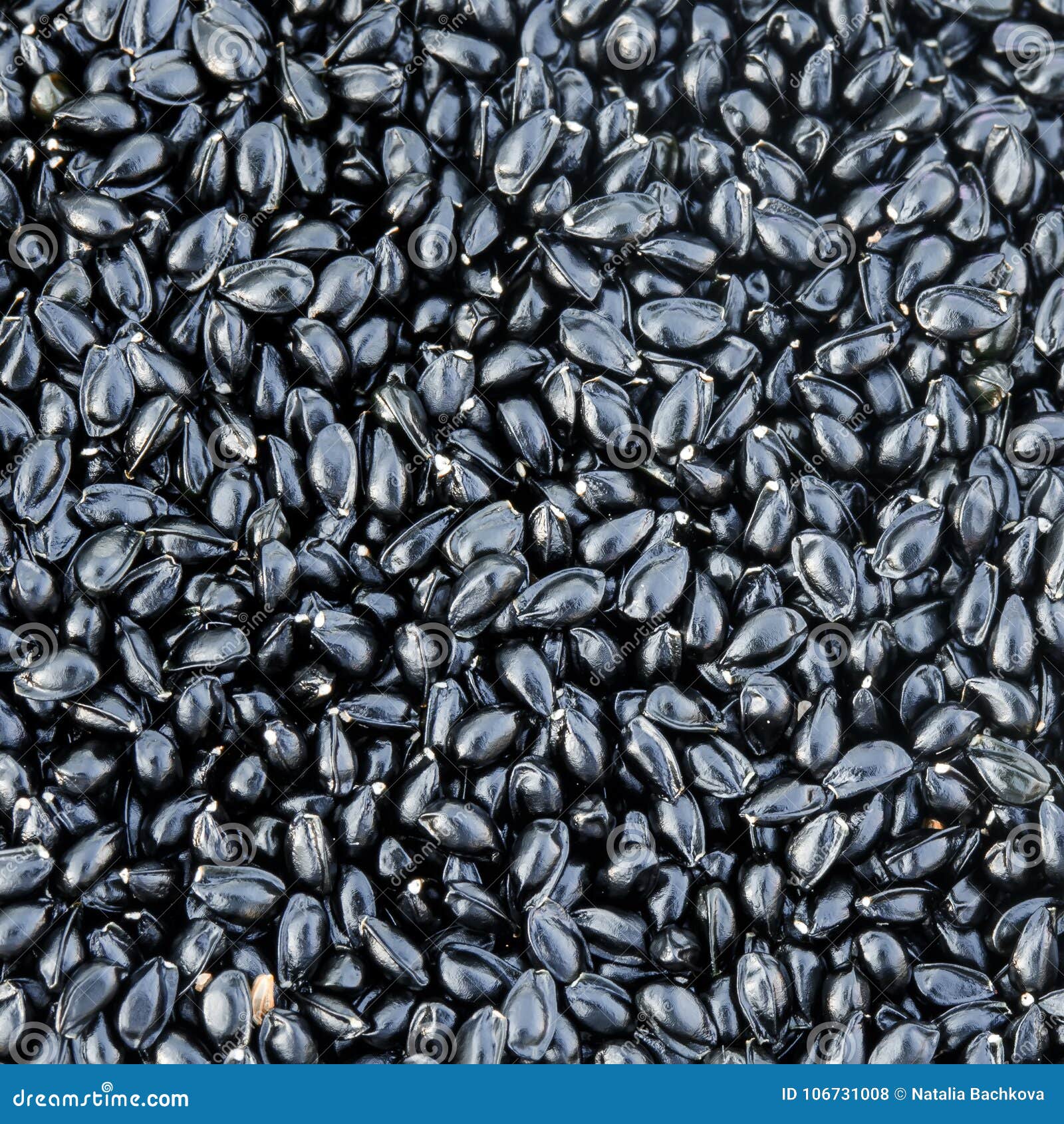 Textured Background of Many Shiny Black Seeds Stock Photo - Image of ...