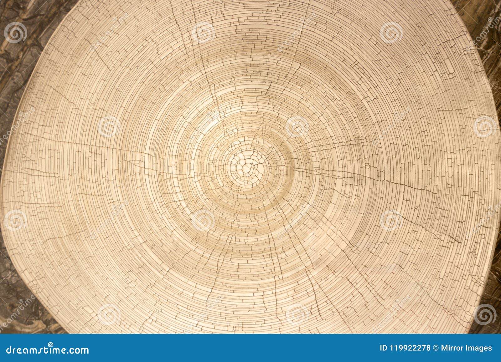 Simulared Organic Wood Tree Trunk Grain Circles Stock Photo - Image of ...