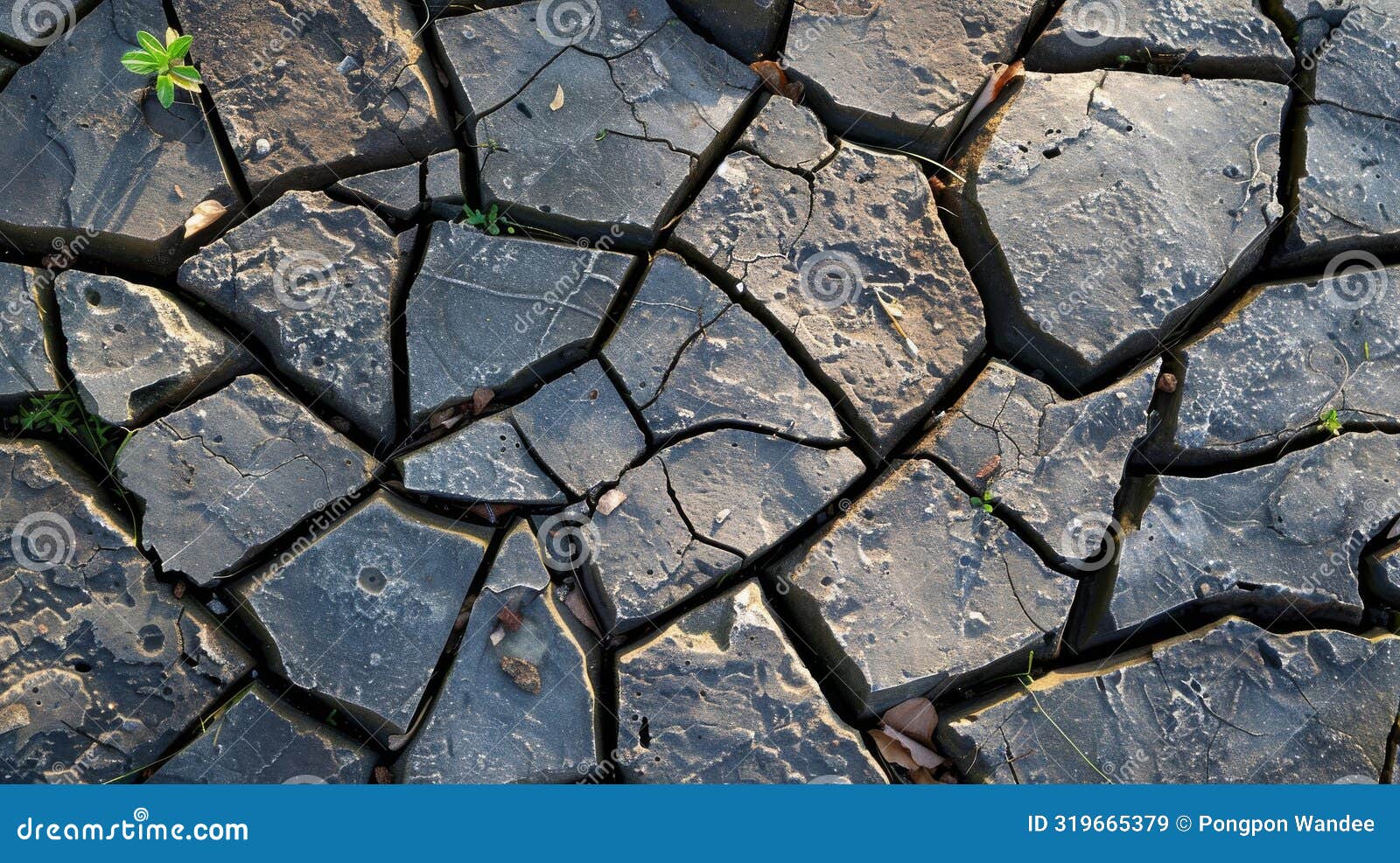 Parched Earth And Skeletal Trees Evoke The Devastating Impact Of ...