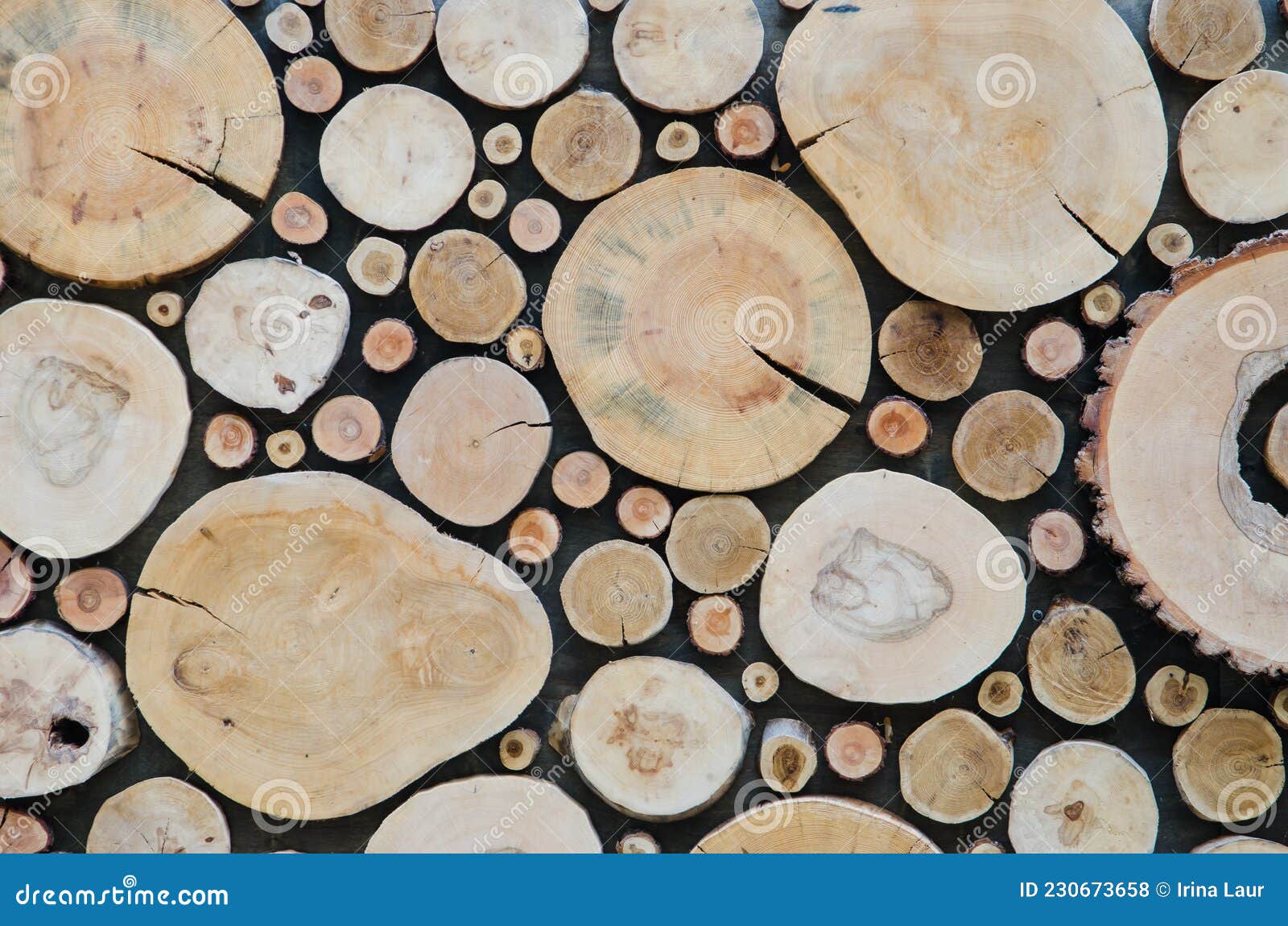Textured Background of Trees of Different Thickness in the Cut, Laid ...