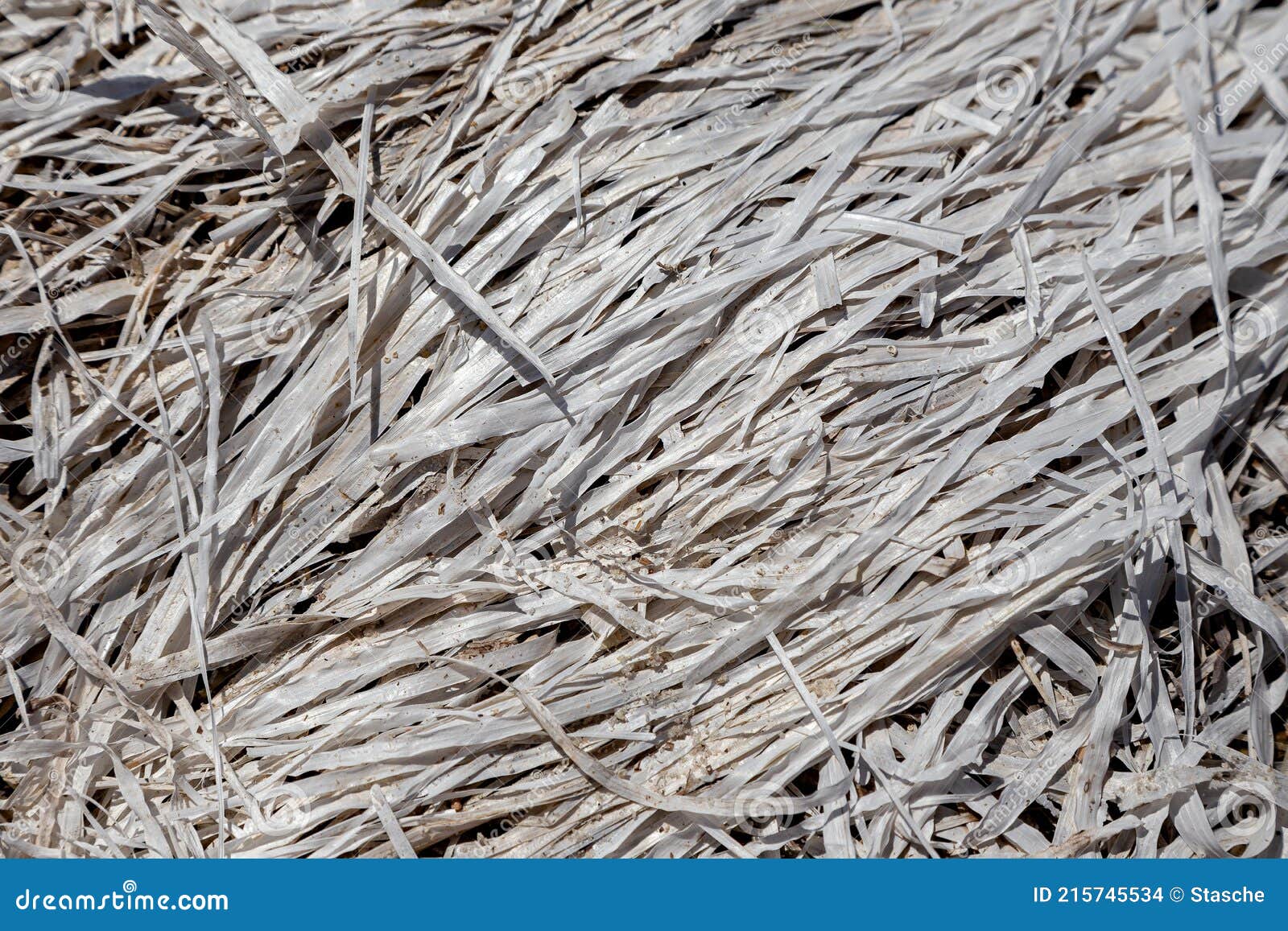 Textured Background of White Sun-dried Seaweed Stock Photo - Image of ...