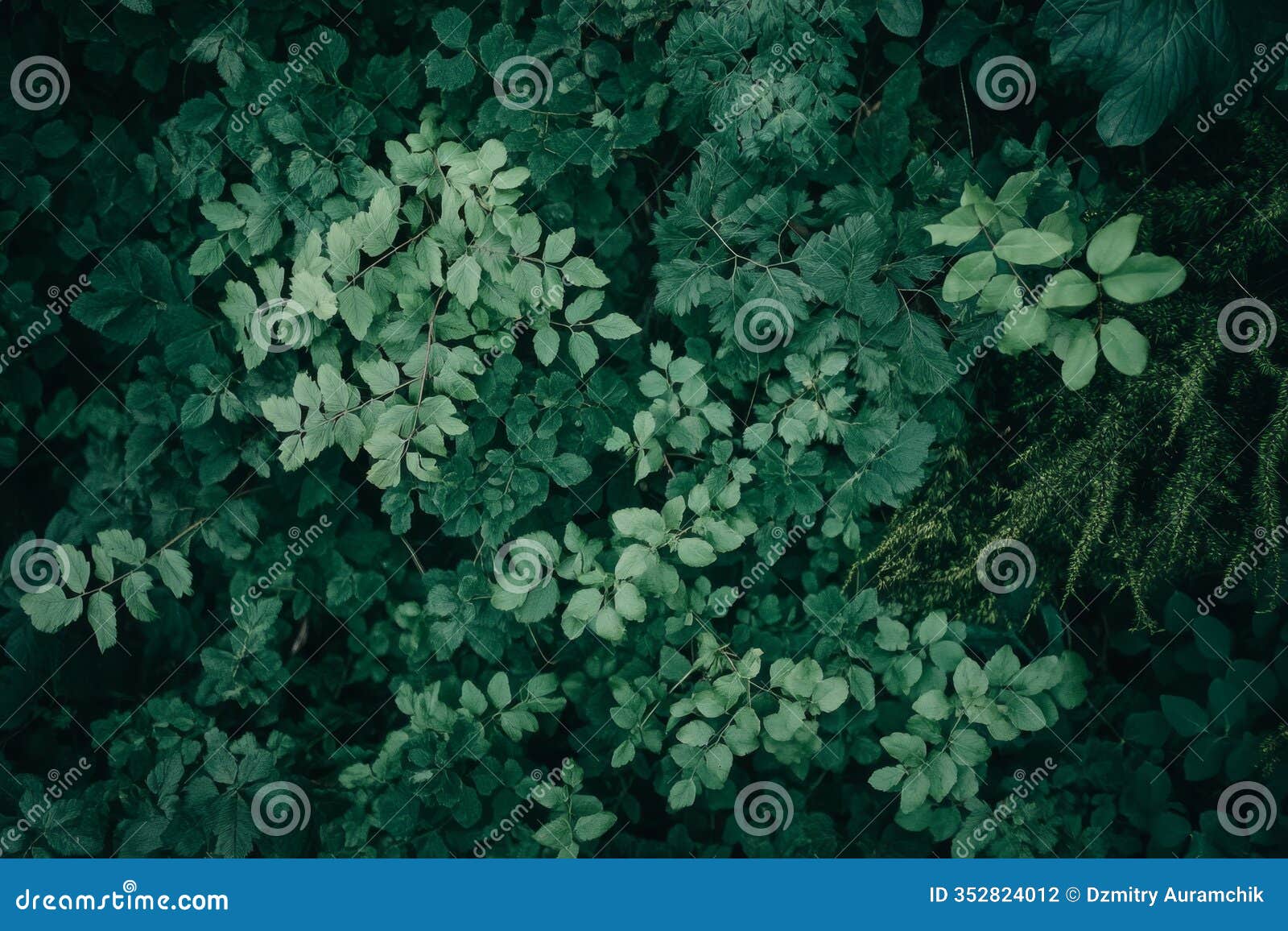 Textured Backgrounds for Home Interiors Can Be Achieved with Moss in ...